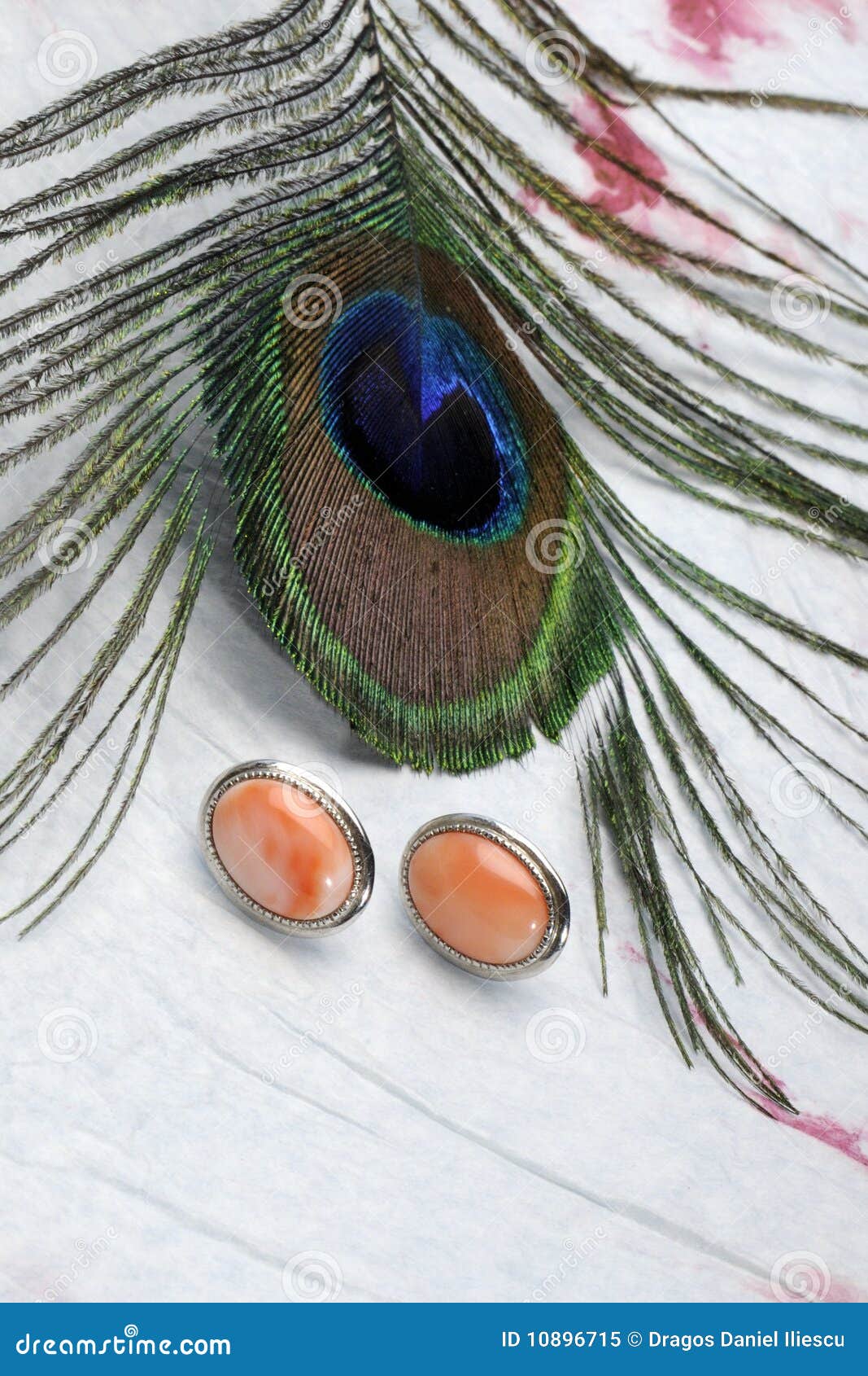 De Pluim En De Oorringen Van De Pauw Stock Afbeelding - Image of groen ...