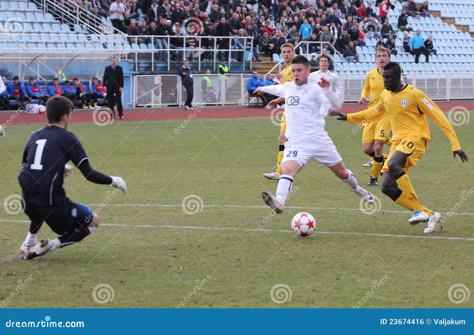 De poging van het been redactionele foto. Image of vlieg - 23674416