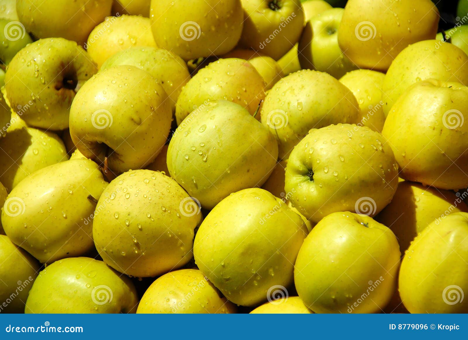 De Pommes Jaune De Pile Dewily Photo stock - Image du fermiers, rosée ...