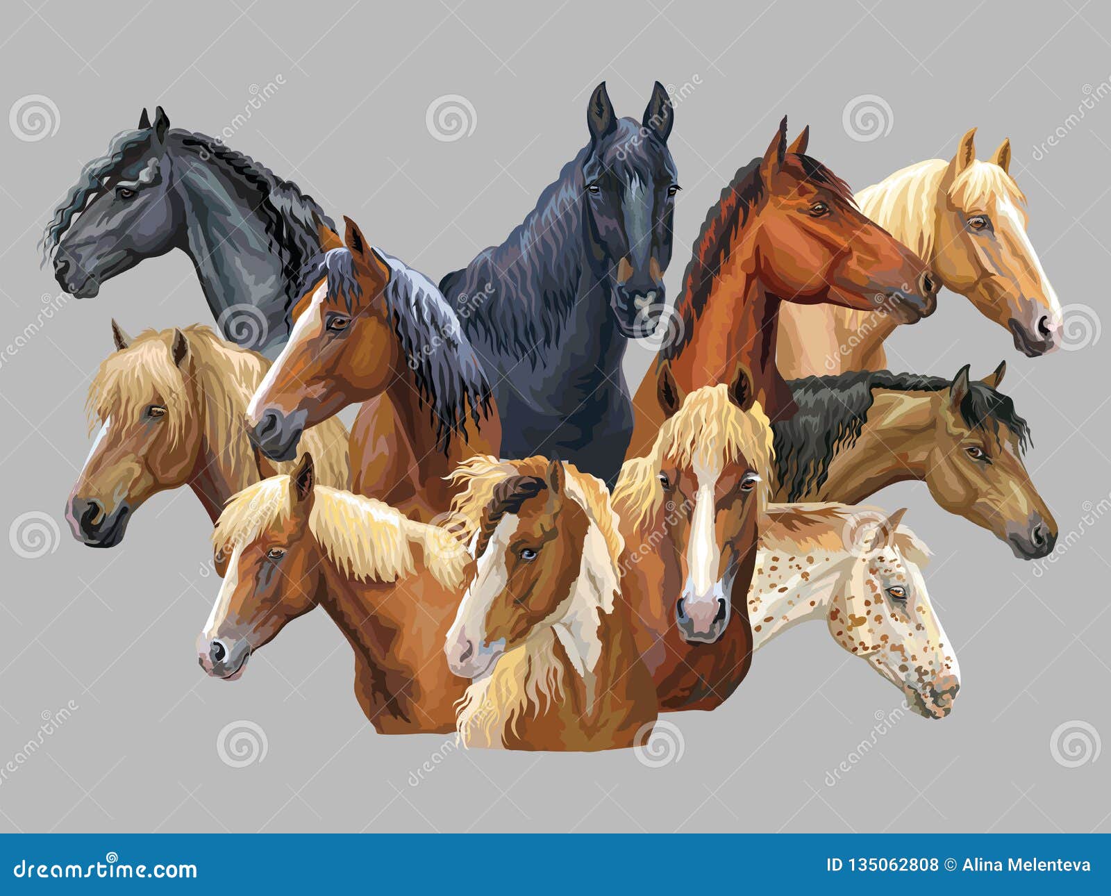 De reeks paarden kweekt 10 vector illustratie. Illustration of ... De reeks paarden kweekt 10 vector illustratie. Illustration of ...
