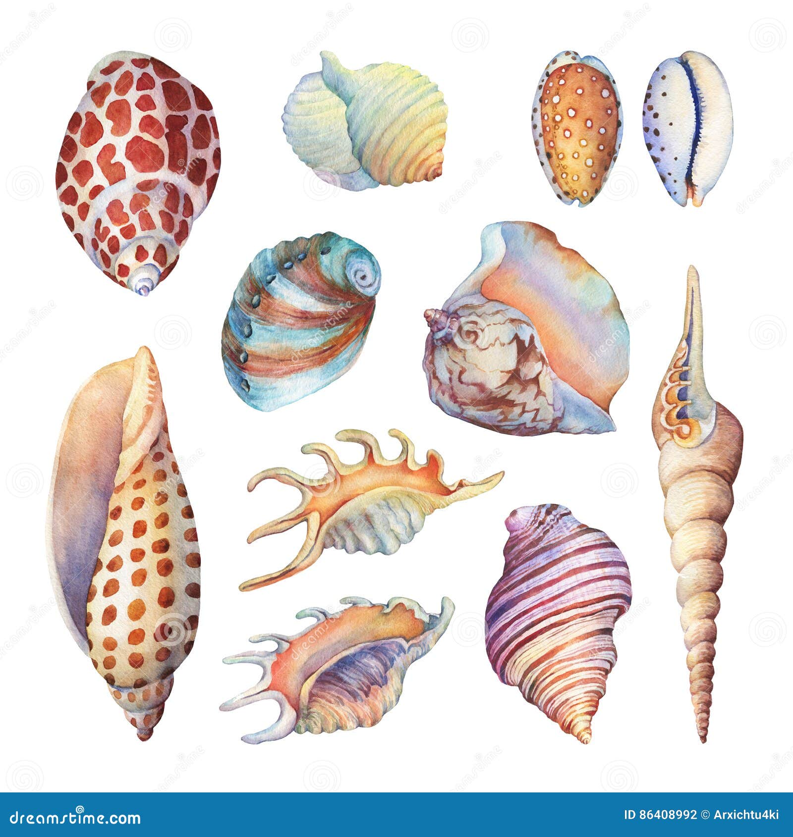 De Reeks Van Het Onderwaterleven Heeft - Illustraties Van Diverse ... De Reeks Van Het Onderwaterleven Heeft - Illustraties Van Diverse ...