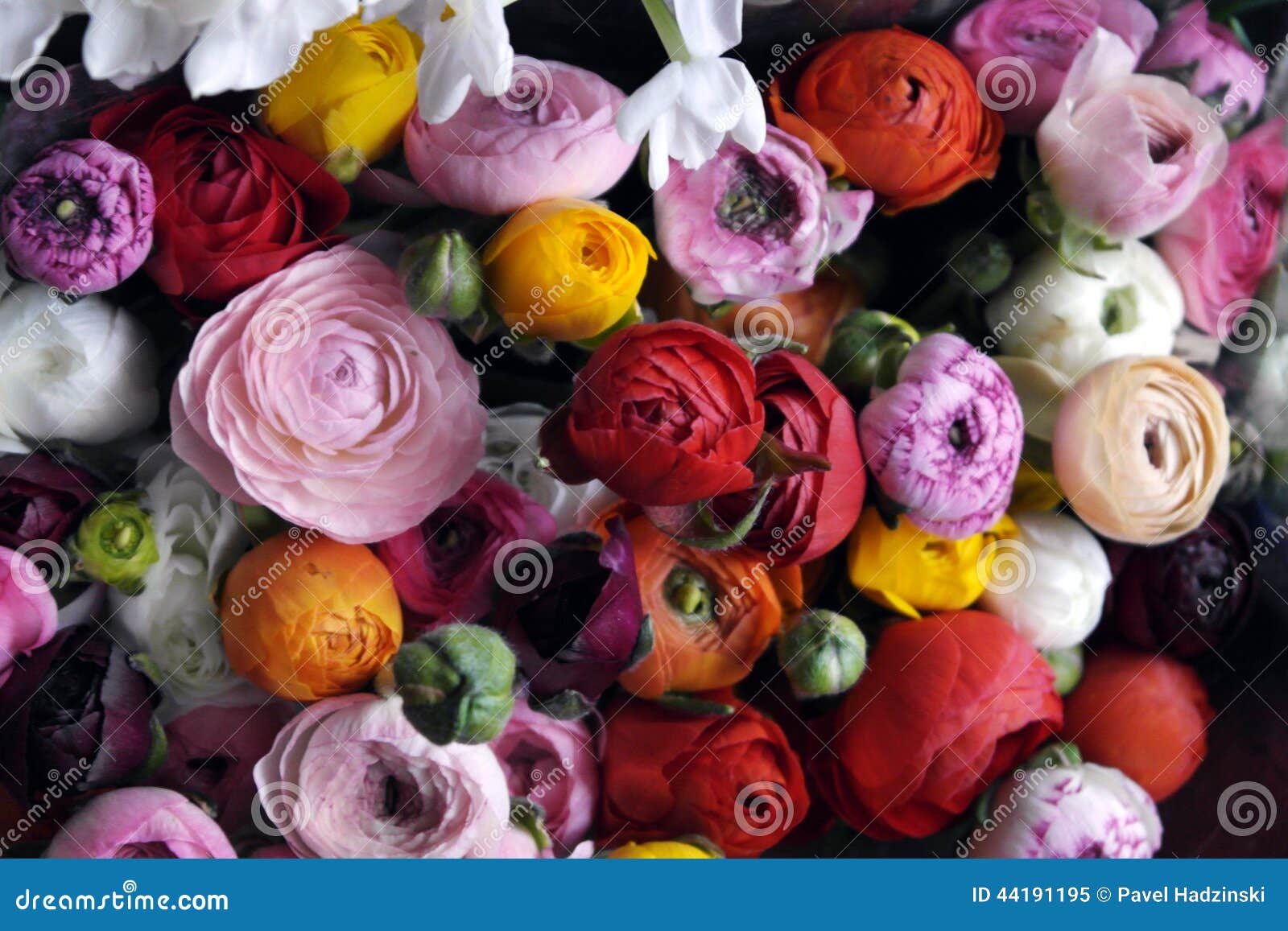 De Regeling Van Het Bloemhuwelijk Met Ranunculus, Pion, Rozen Stock ...