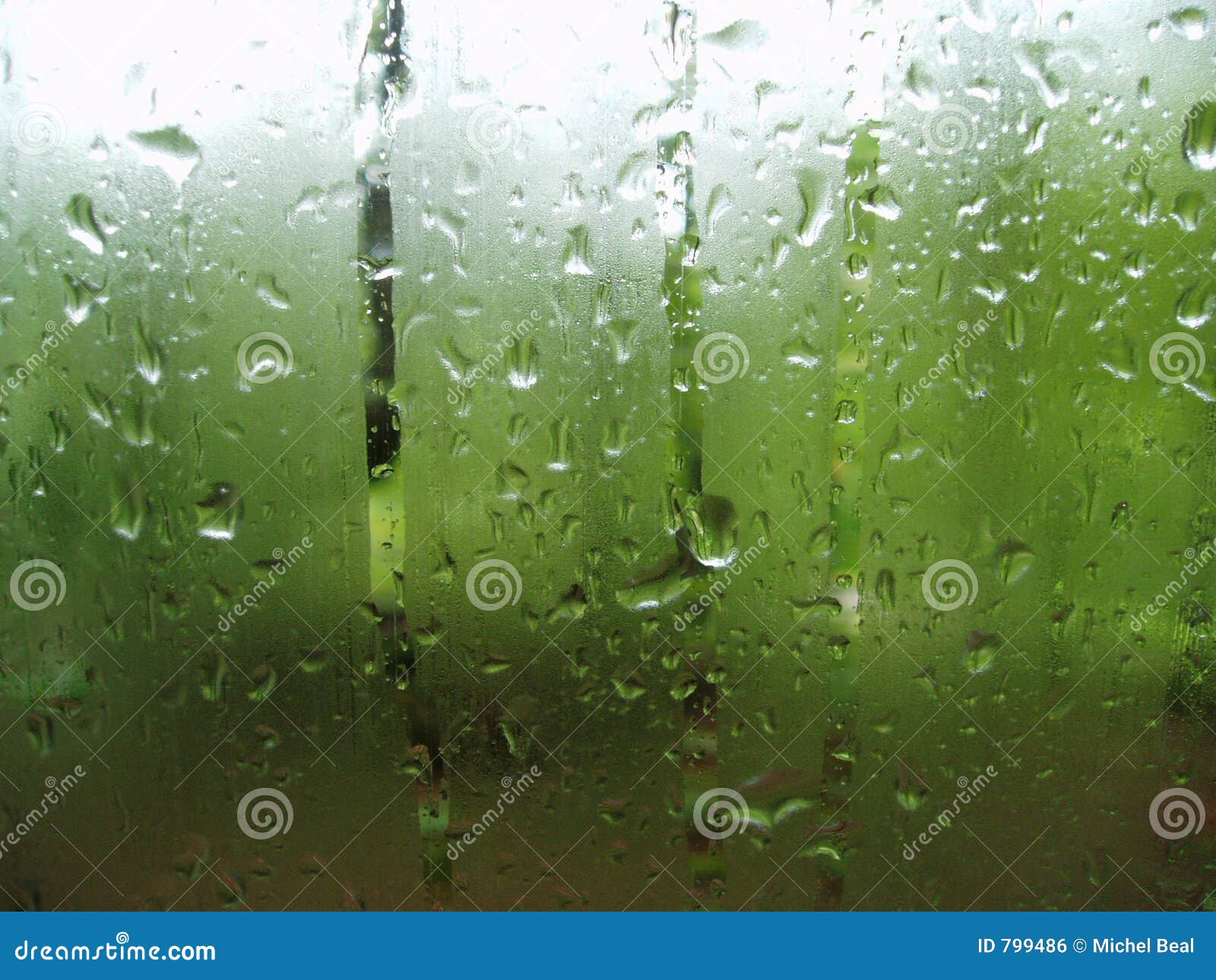 De Regendruppels Houden Fallin Stock Foto - Image of regendruppel ...