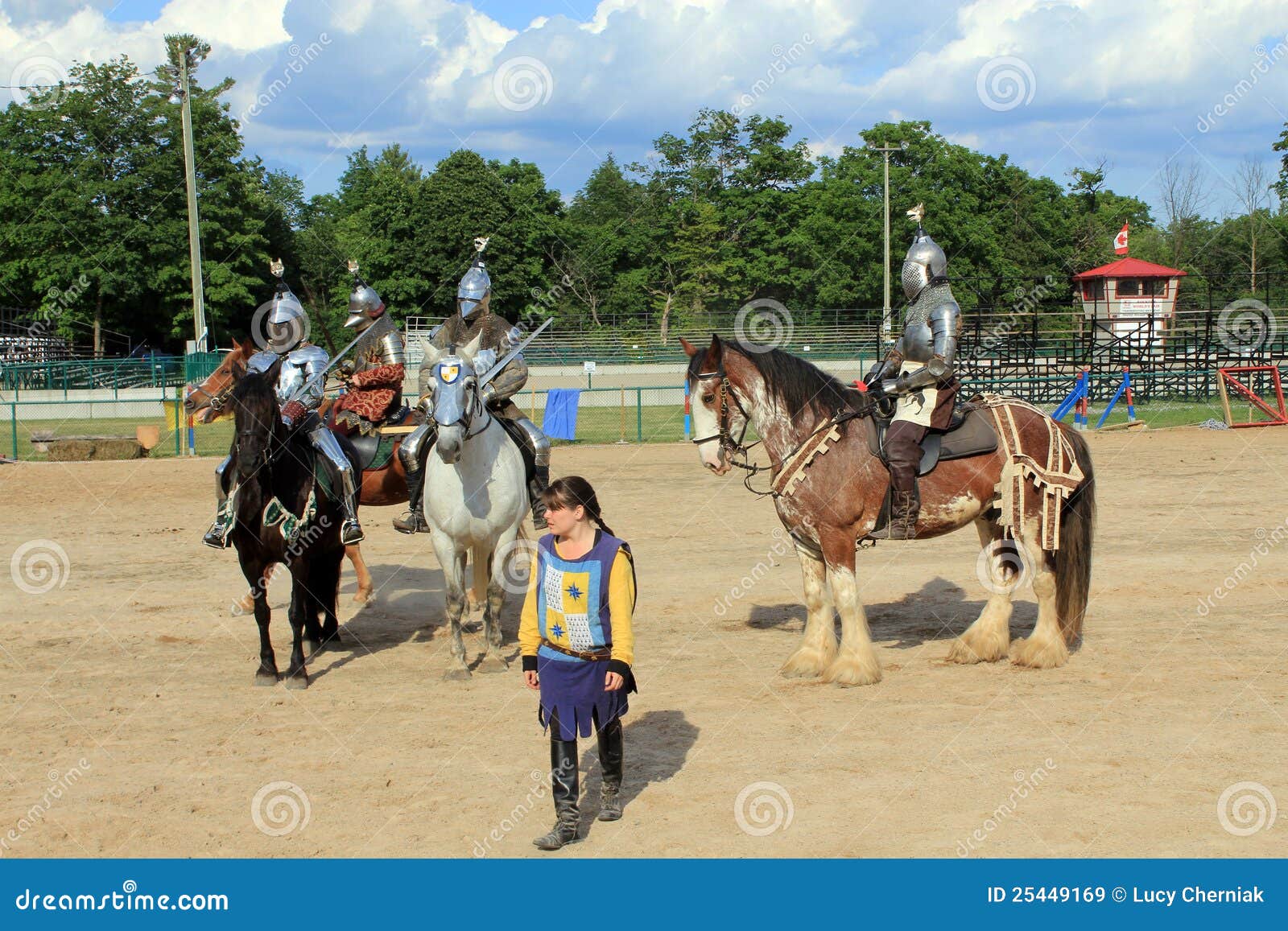 De ridders op Paarden redactionele stock afbeelding. Image of gevecht ...