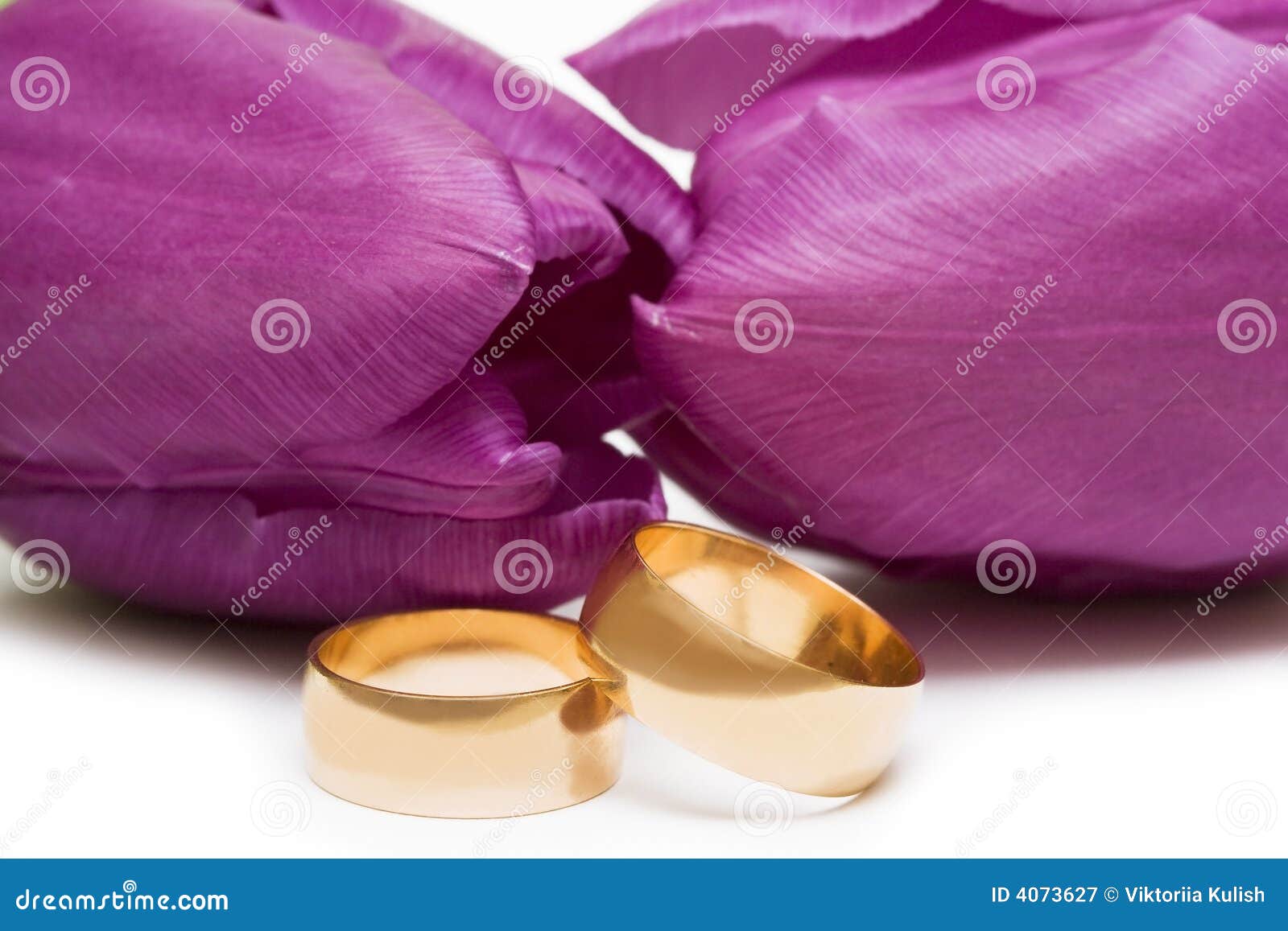 De Ringen Van De Gouden Bruiloft Stock Afbeelding - Image of elegantie ...