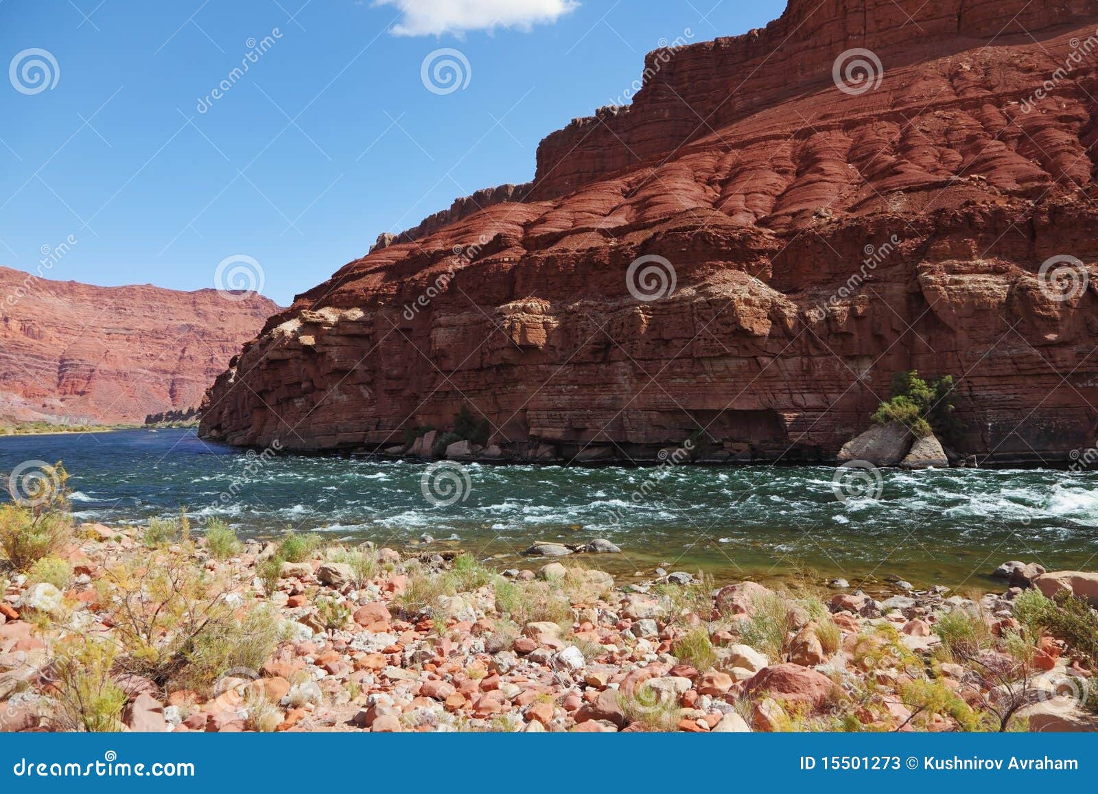 De Rivier Van Colorado in De Woestijn Stock Afbeelding - Image of ...