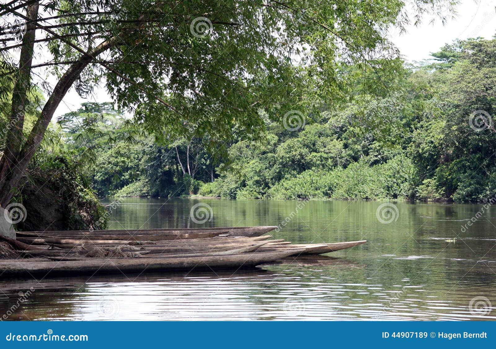 De rivier van de Kongo stock afbeelding. Image of visserij - 44907189