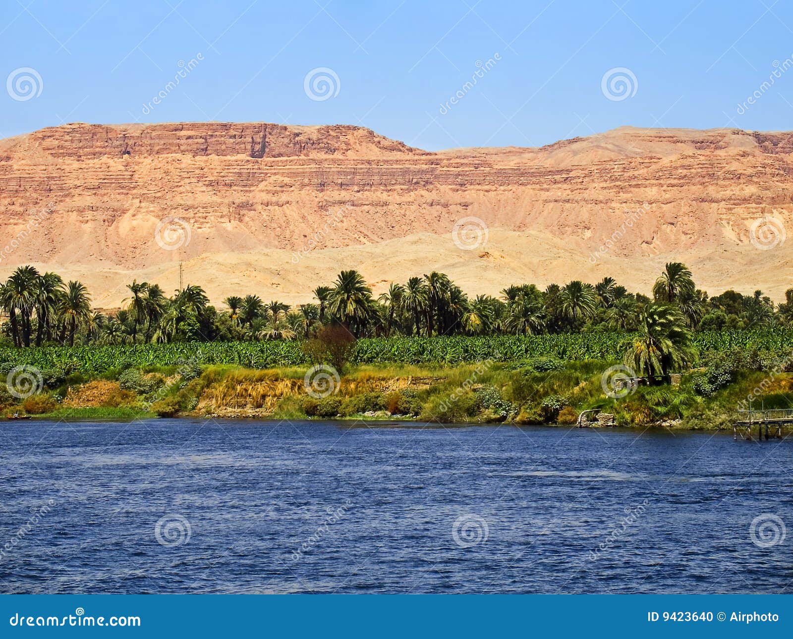 De rivier van Nijl, Egypte stock foto. Image of boom, bestemming - 9423640