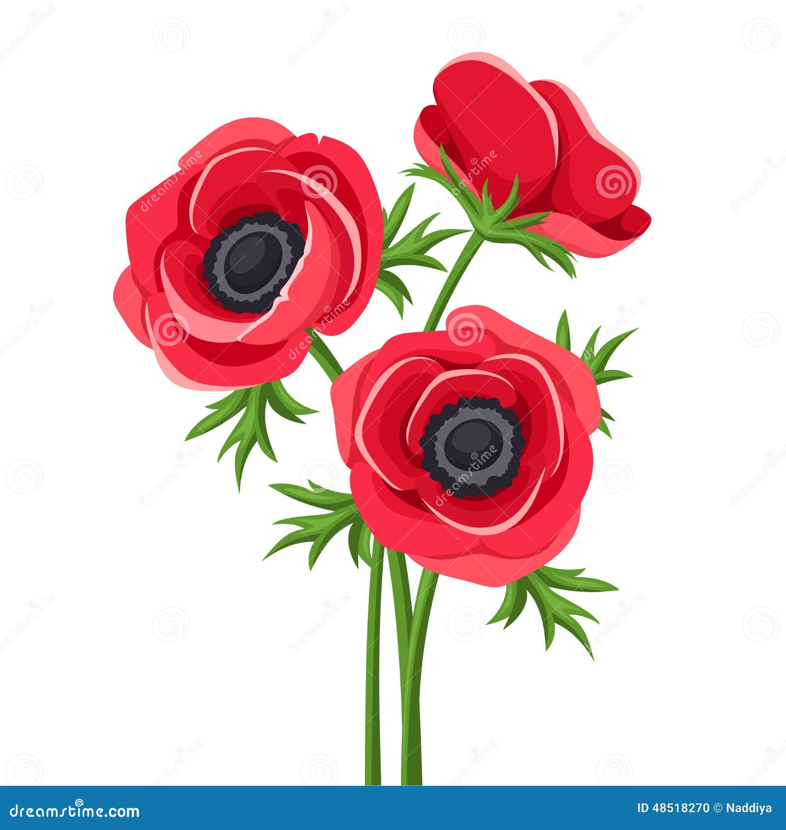 De Rode Bloemen Van De Anemoon Vector Illustratie Vector Illustratie ...