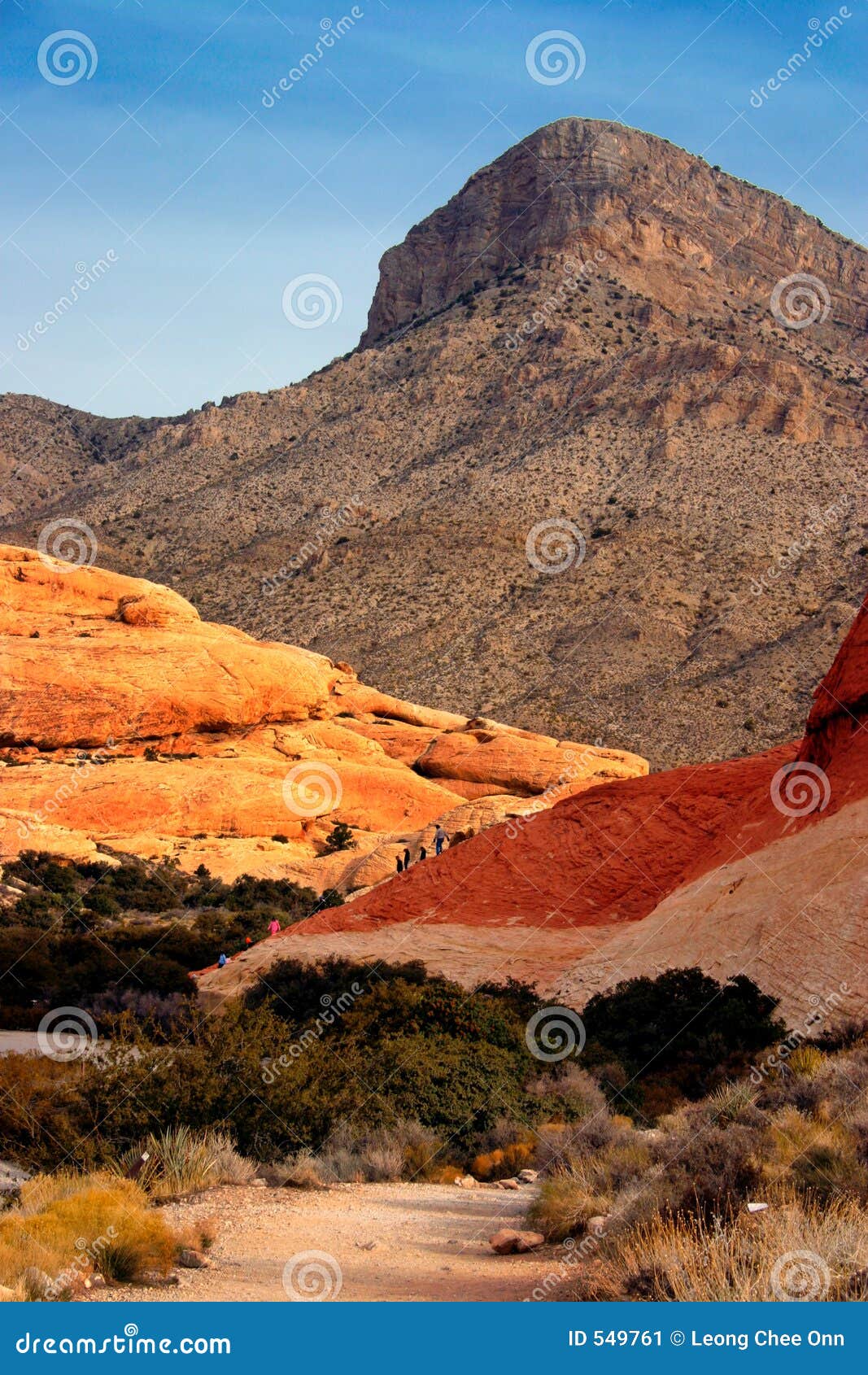 De Rode Canion Van De Rots, Nevada Stock Afbeelding - Image of canion ...