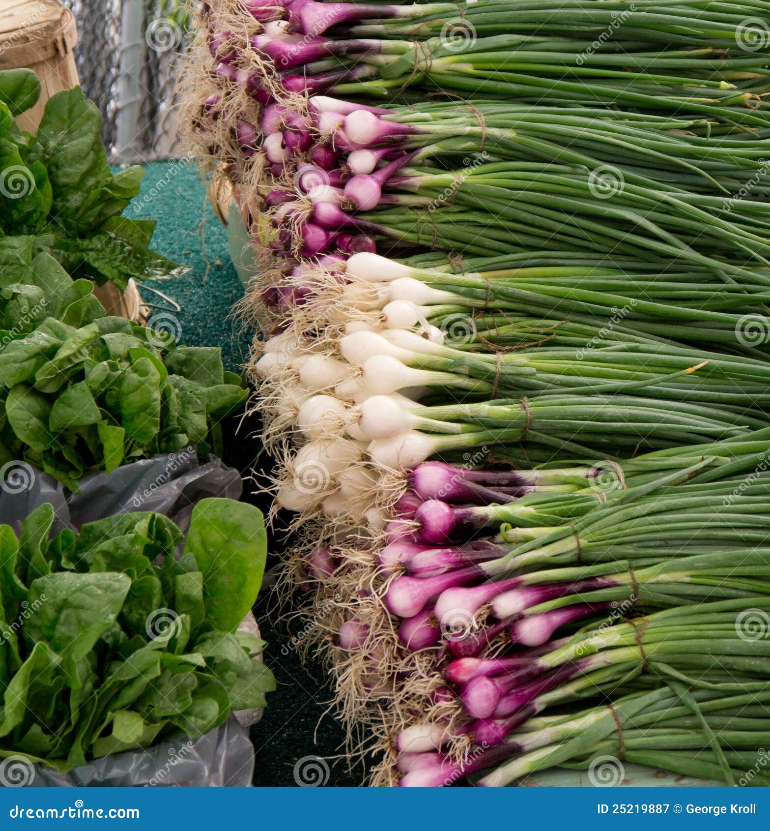 De Rode En Witte Uien Van De Zomer Bij Markt Stock Afbeelding - Image ...