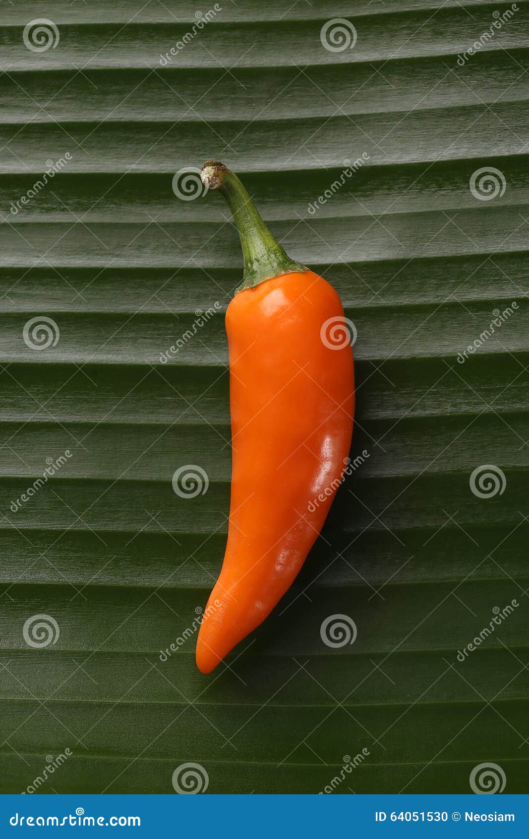 De rode peper van Chili stock foto. Image of gemarineerd - 64051530