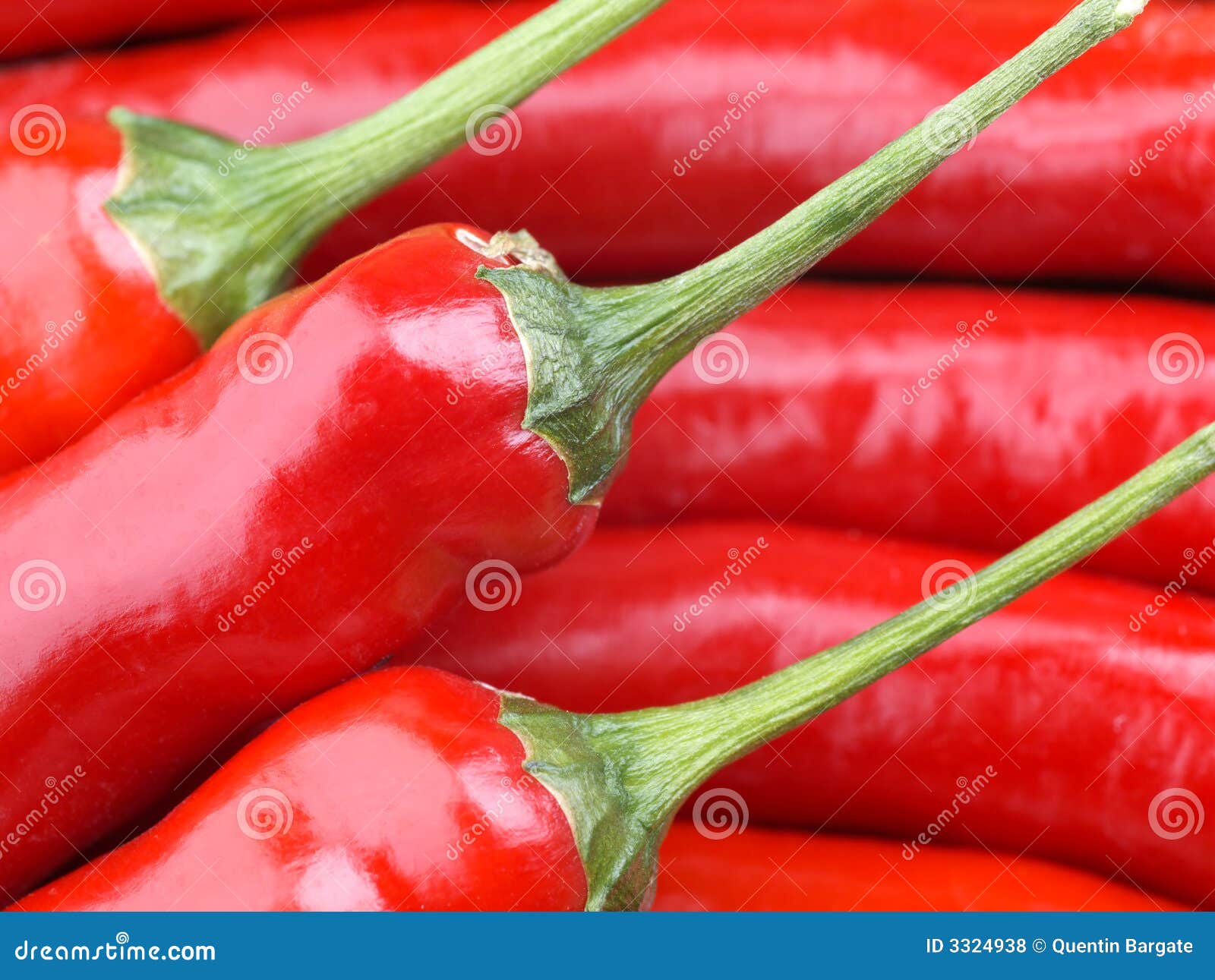 De Rode Peper Van De Spaanse Peper Stock Foto - Image of achtergrond ...