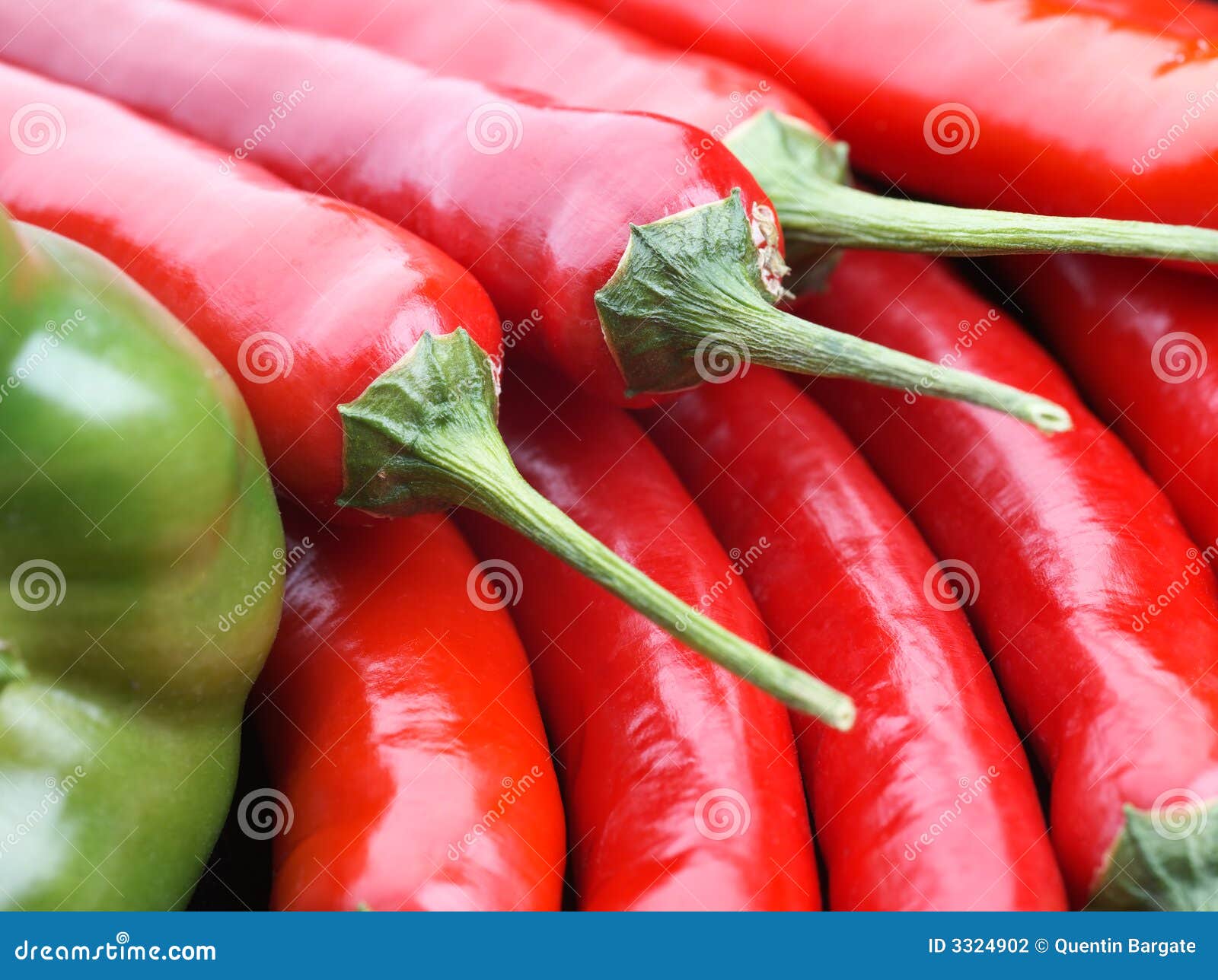 De Rode Peper Van Spaanse Pepers Stock Foto - Image of kruid, steel ...