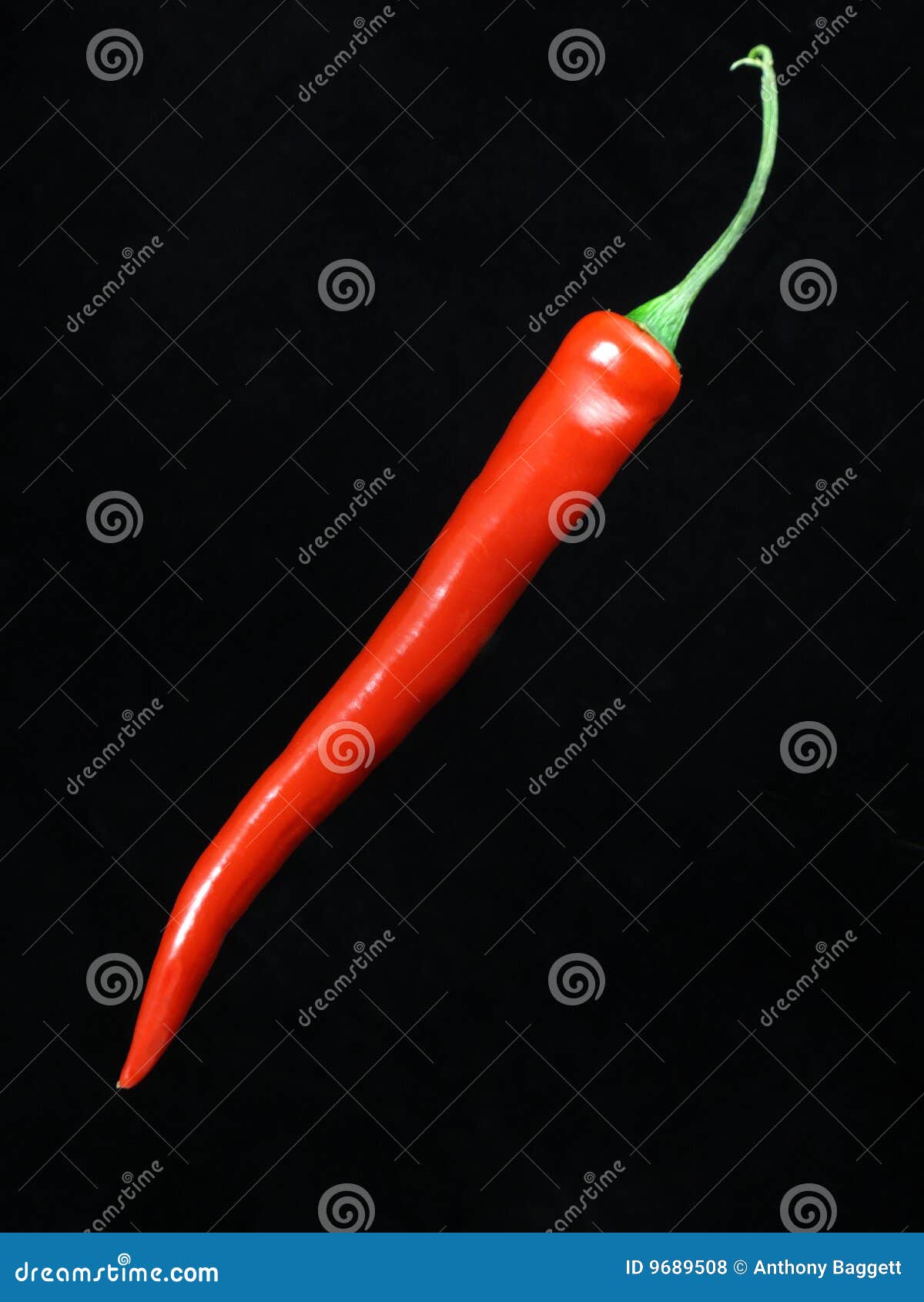 De Rode Peper Van Spaanse Pepers Stock Foto - Image of niemand, salade ...