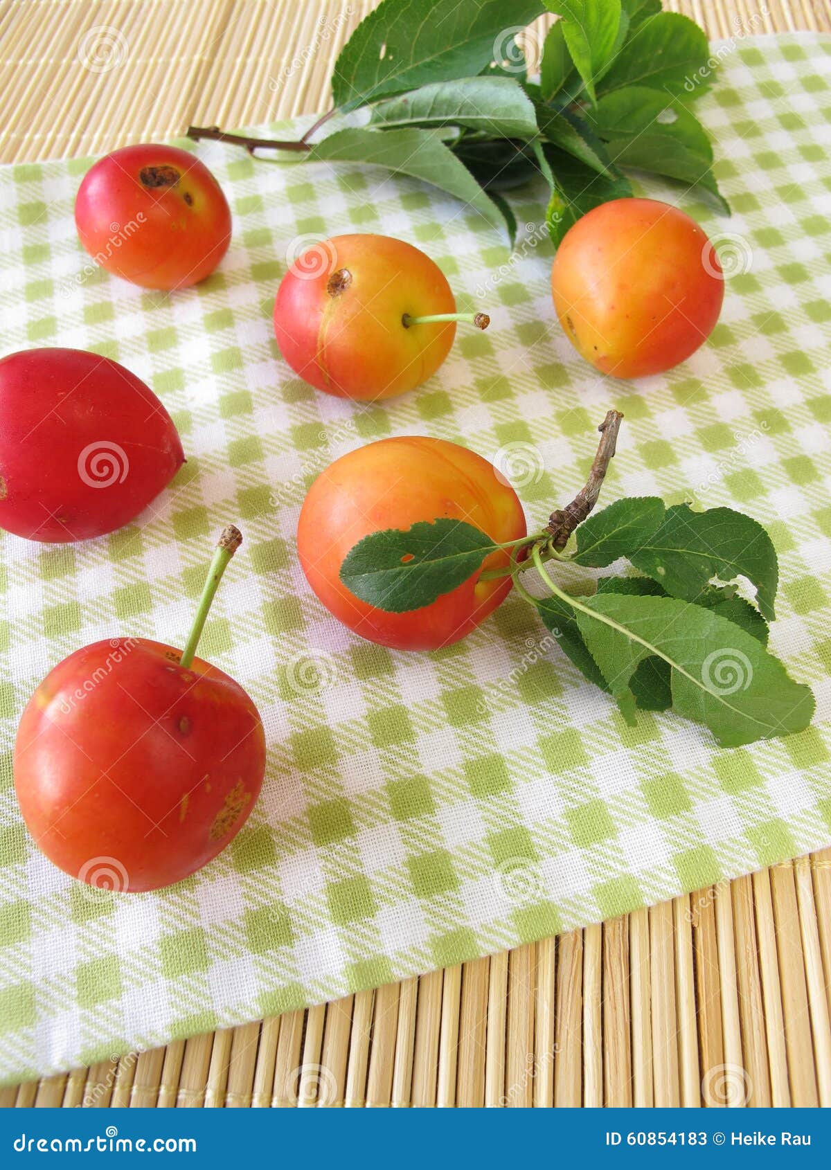 De Rode Pruimen Van De Kers Stock Afbeelding - Image of bladeren, wild ...