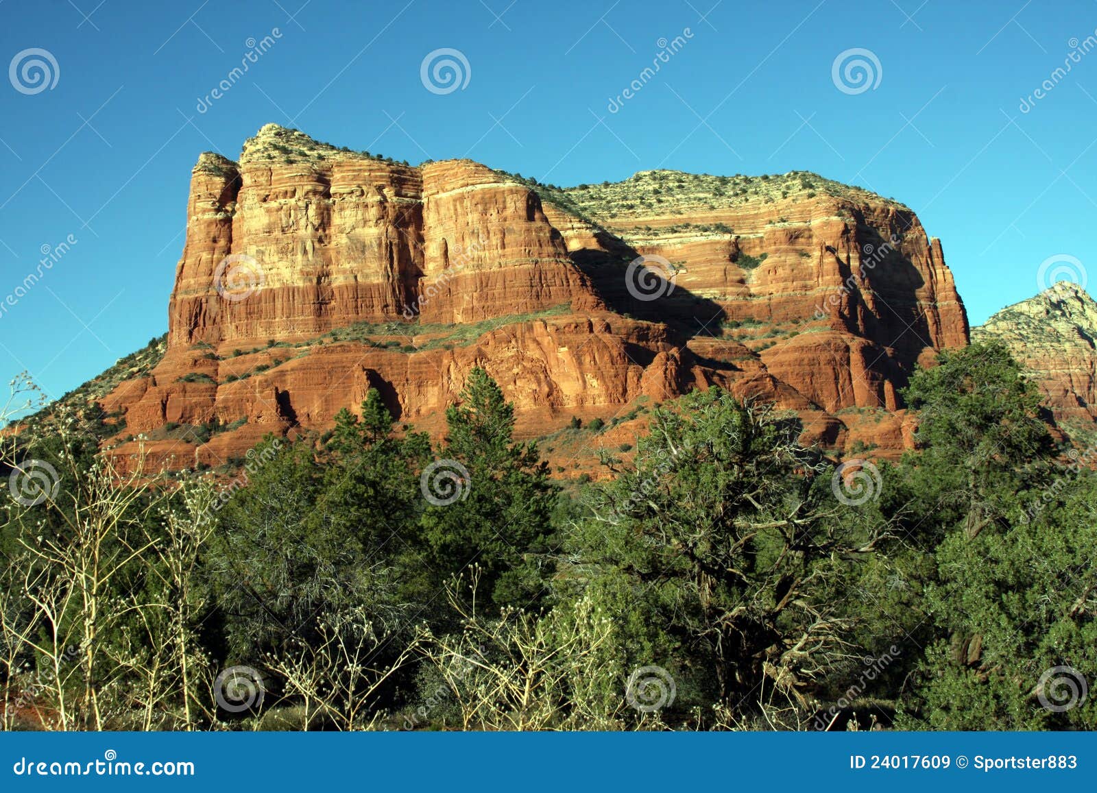 De Rode Rots van Sedona stock afbeelding. Image of erosie - 24017609