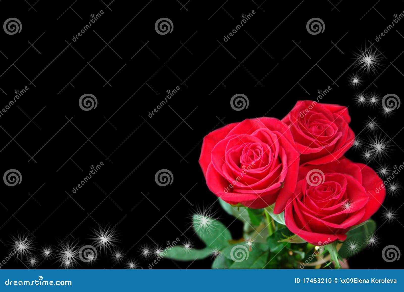 De Rode Rozen Op Zwarte Achtergrond. Stock Foto - Image of inzameling ...