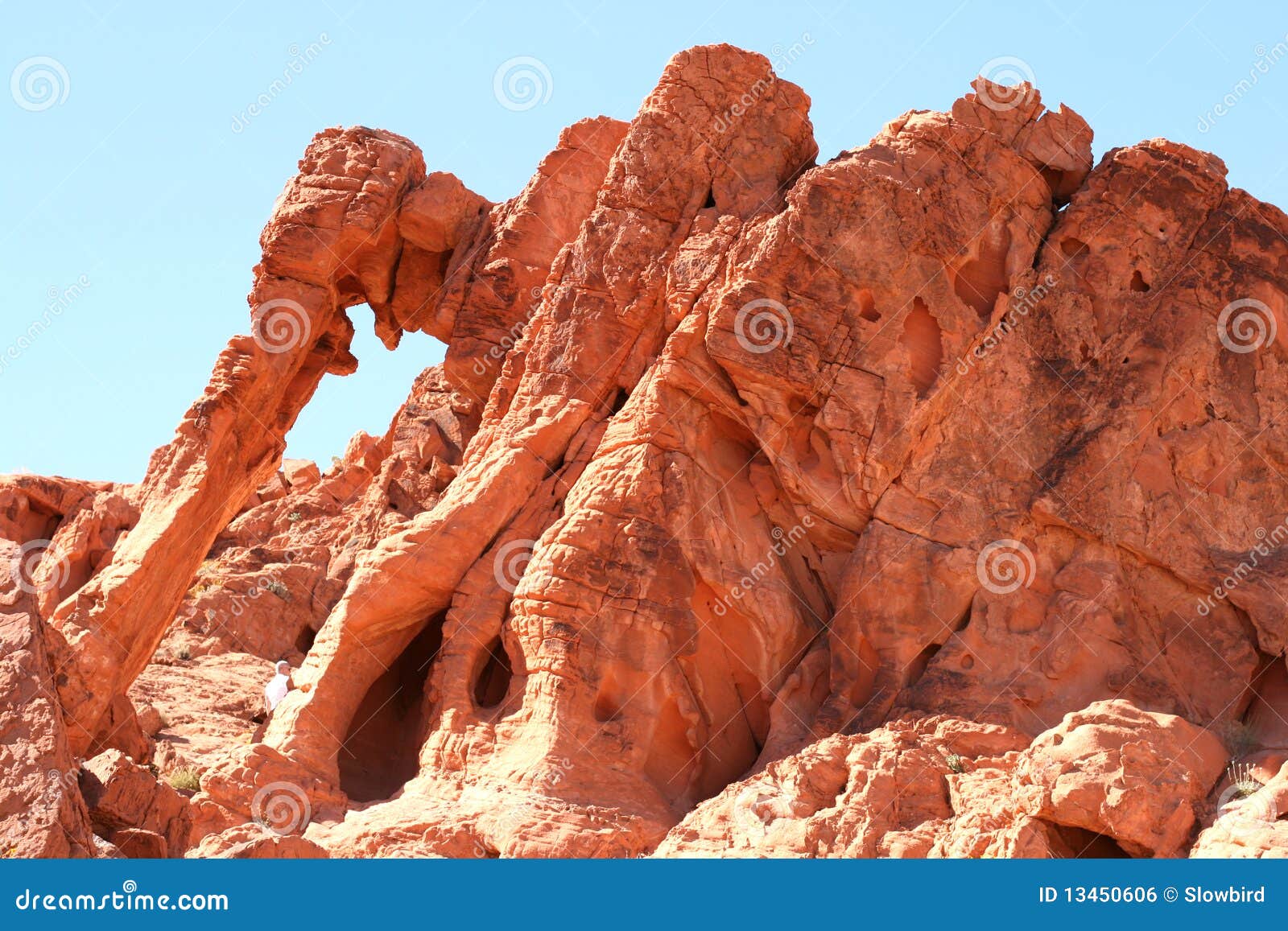 De Rots Van De Olifant in Vallei Van Brand Stock Foto - Image of ...