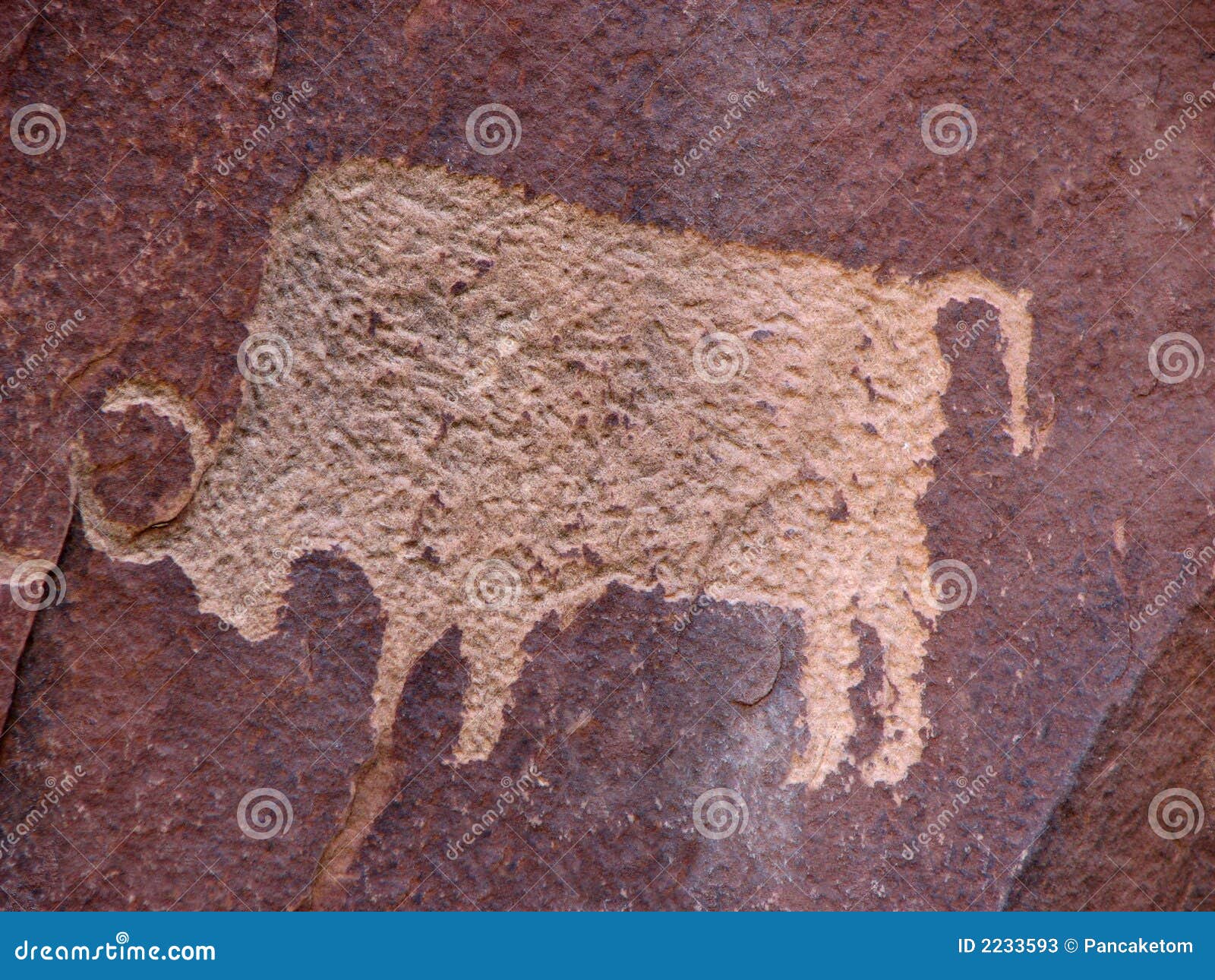 De Rotstekening Van De Bizon Stock Afbeelding - Image of rots, buffels ...