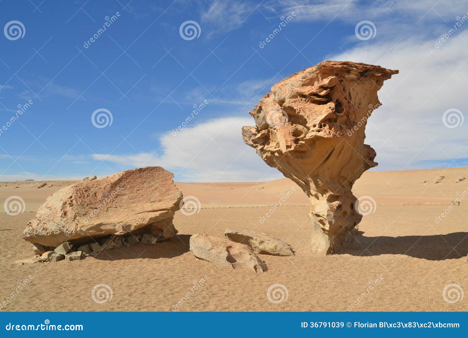 De Rotsvorming Van De Steenboom in De Woestijn Stock Afbeelding - Image ...