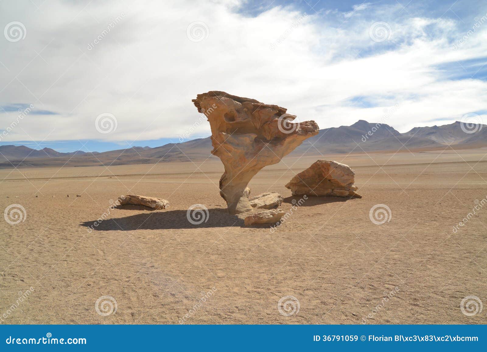 De Rotsvorming Van De Steenboom in De Woestijn Stock Afbeelding - Image ...