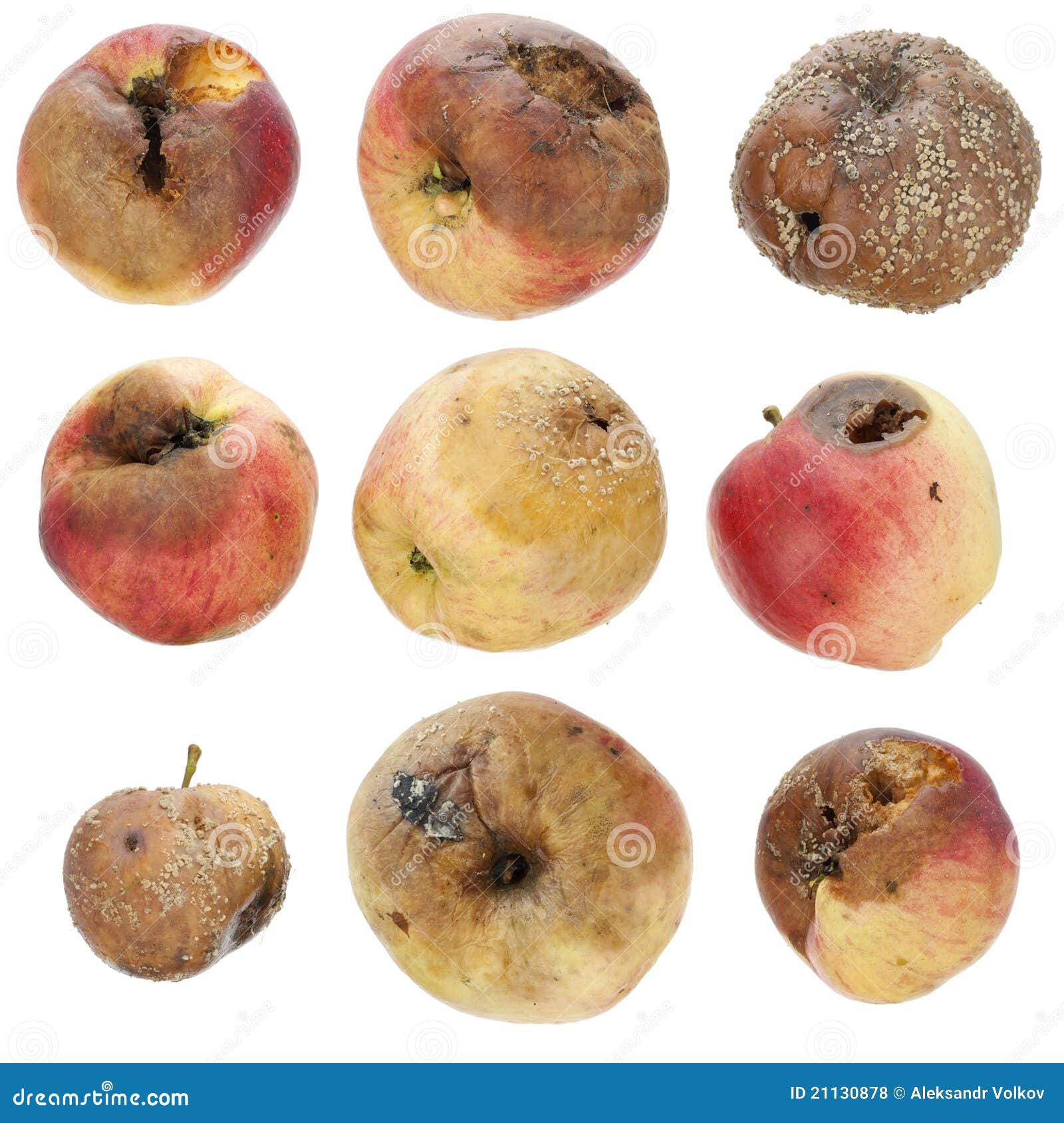 De Rotte Bedorven Oneetbare Geplaatste Appelen Stock Foto - Image of ...