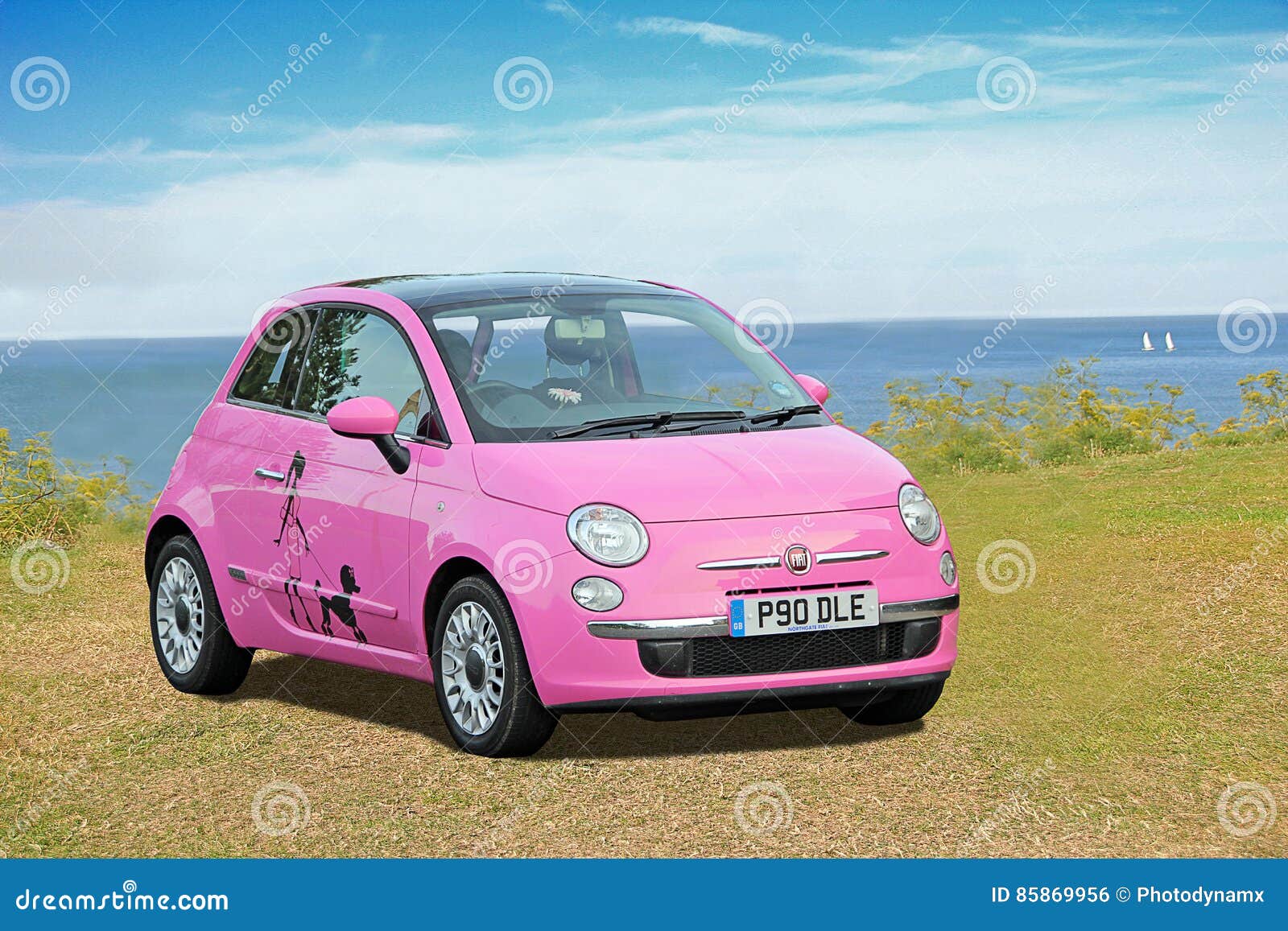 De Roze Auto Van De Toestemmingspoedel Redactionele Foto - Image of ...