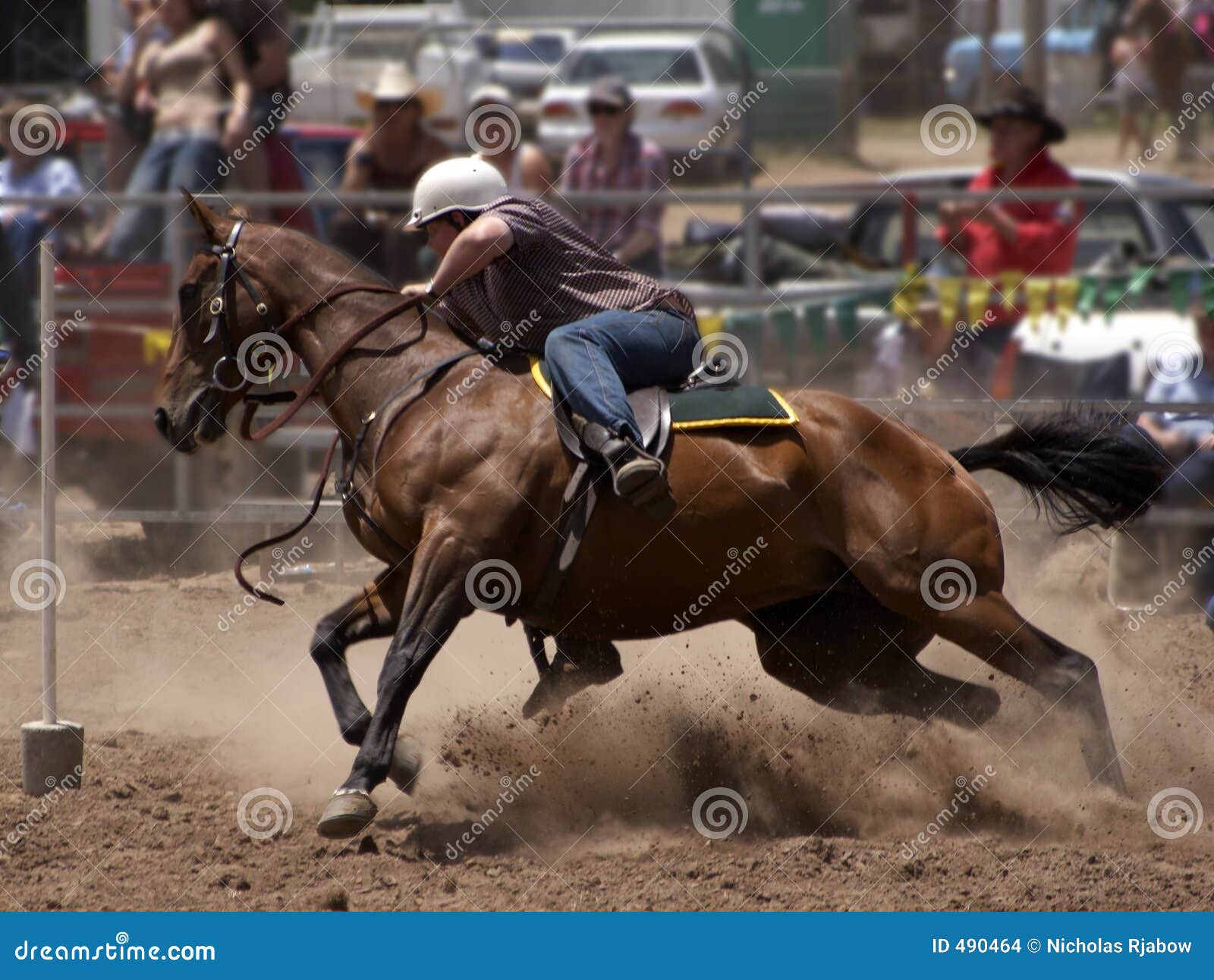 De Ruiter van het paard stock foto. Image of teugel, gebied - 490464