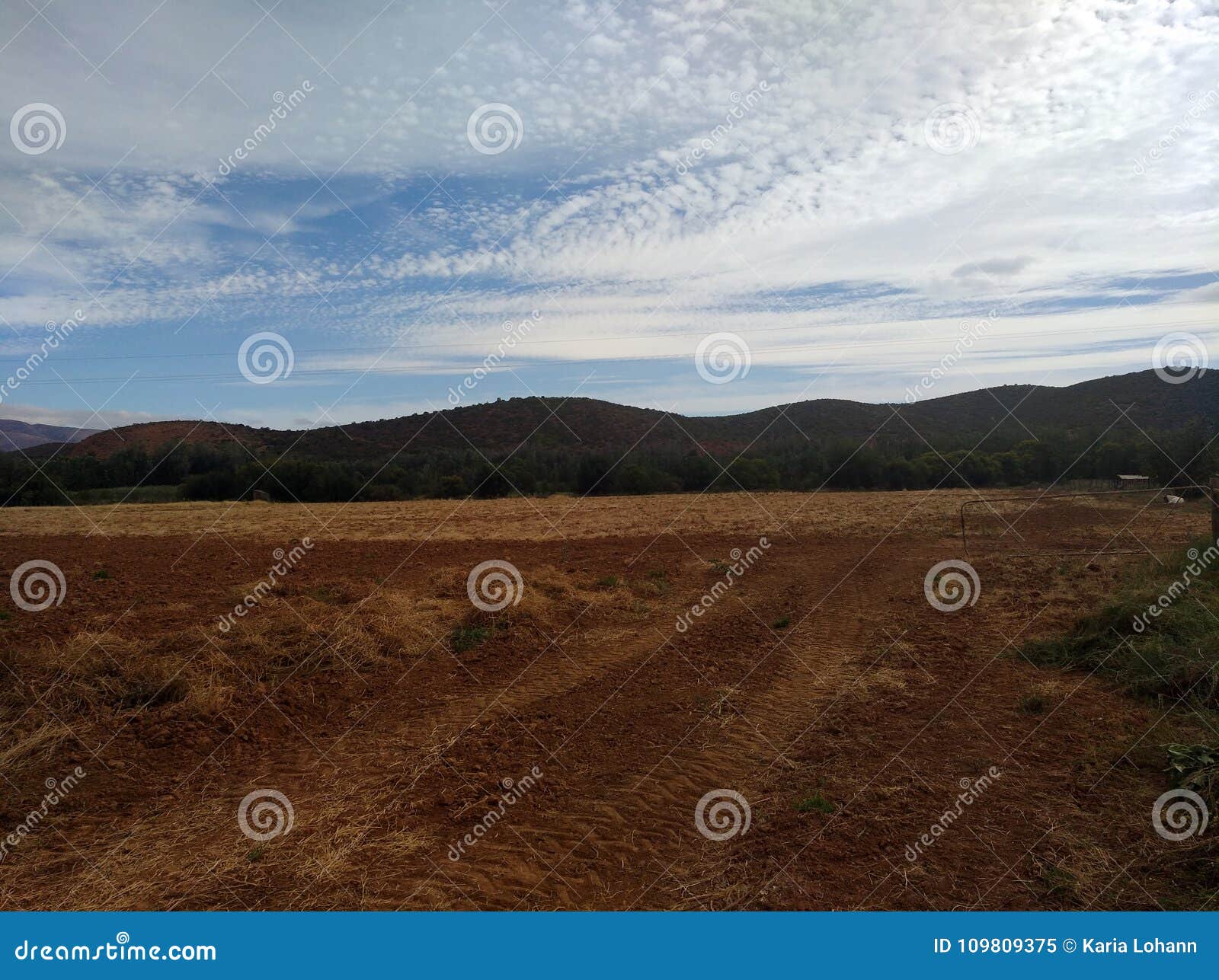 Farm stock image. Image of rust, africa, south, farm - 109809375