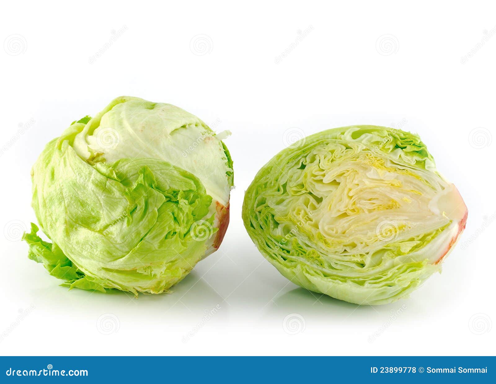 De Salade Van De Ijsberg - Hoofd Van Sla Stock Foto - Image of voedsel ...