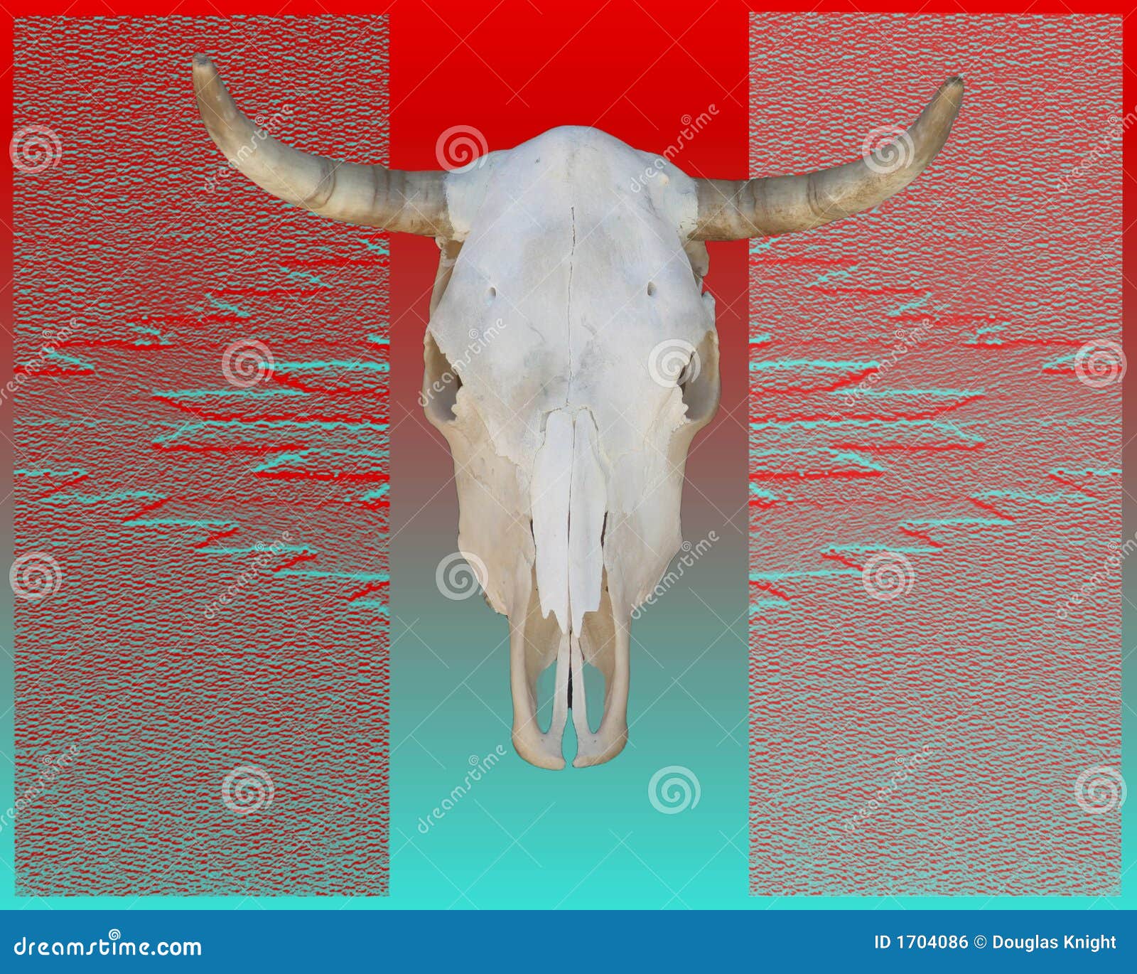 De Schedel Van De Koe Van Het Zuidwesten Stock Illustratie ...