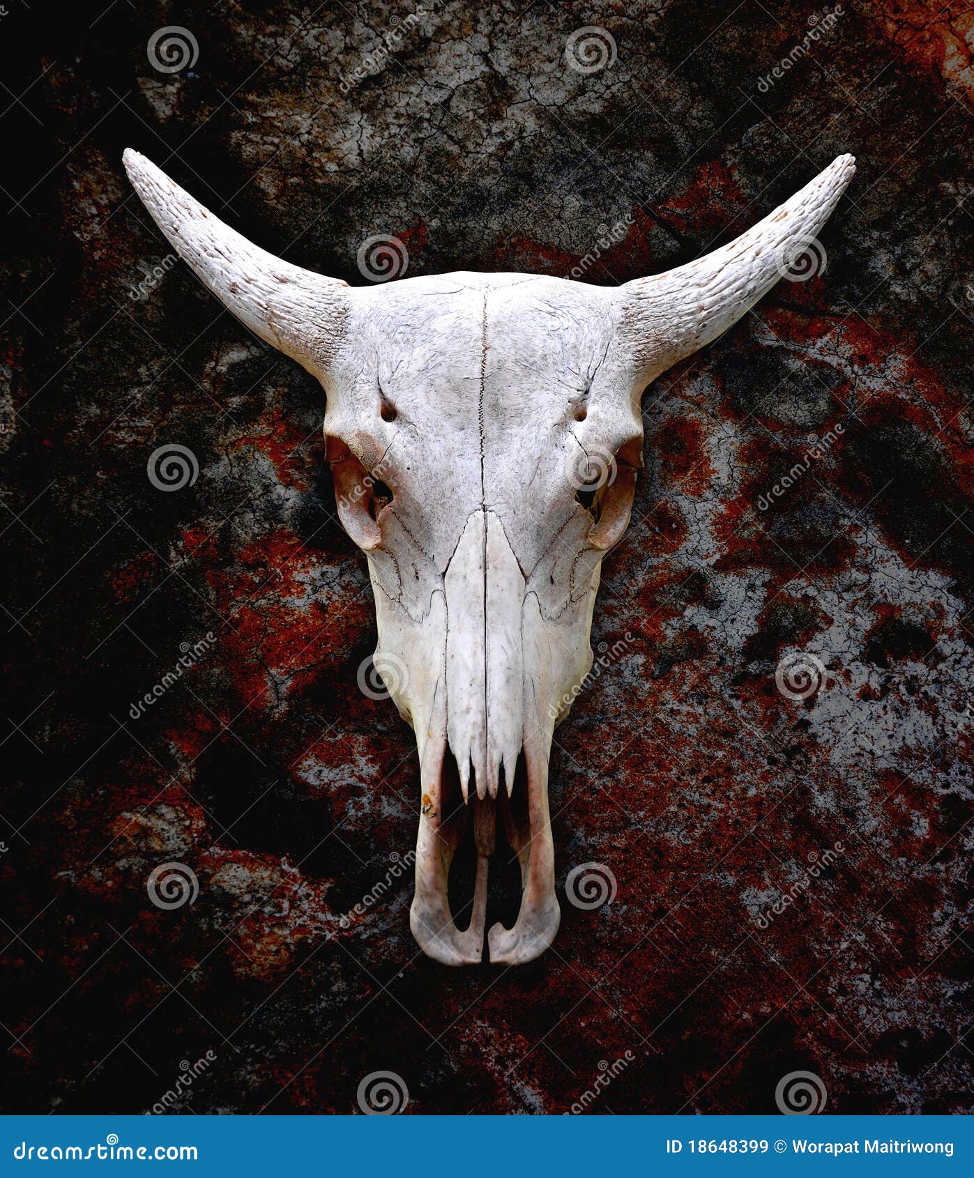 De Schedel Van De Stier Op Muur Stock Illustratie - Illustration of ...