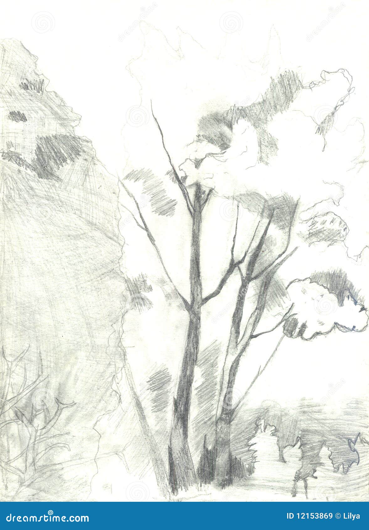 De schets van bomen stock illustratie. Illustration of potlood - 12153869