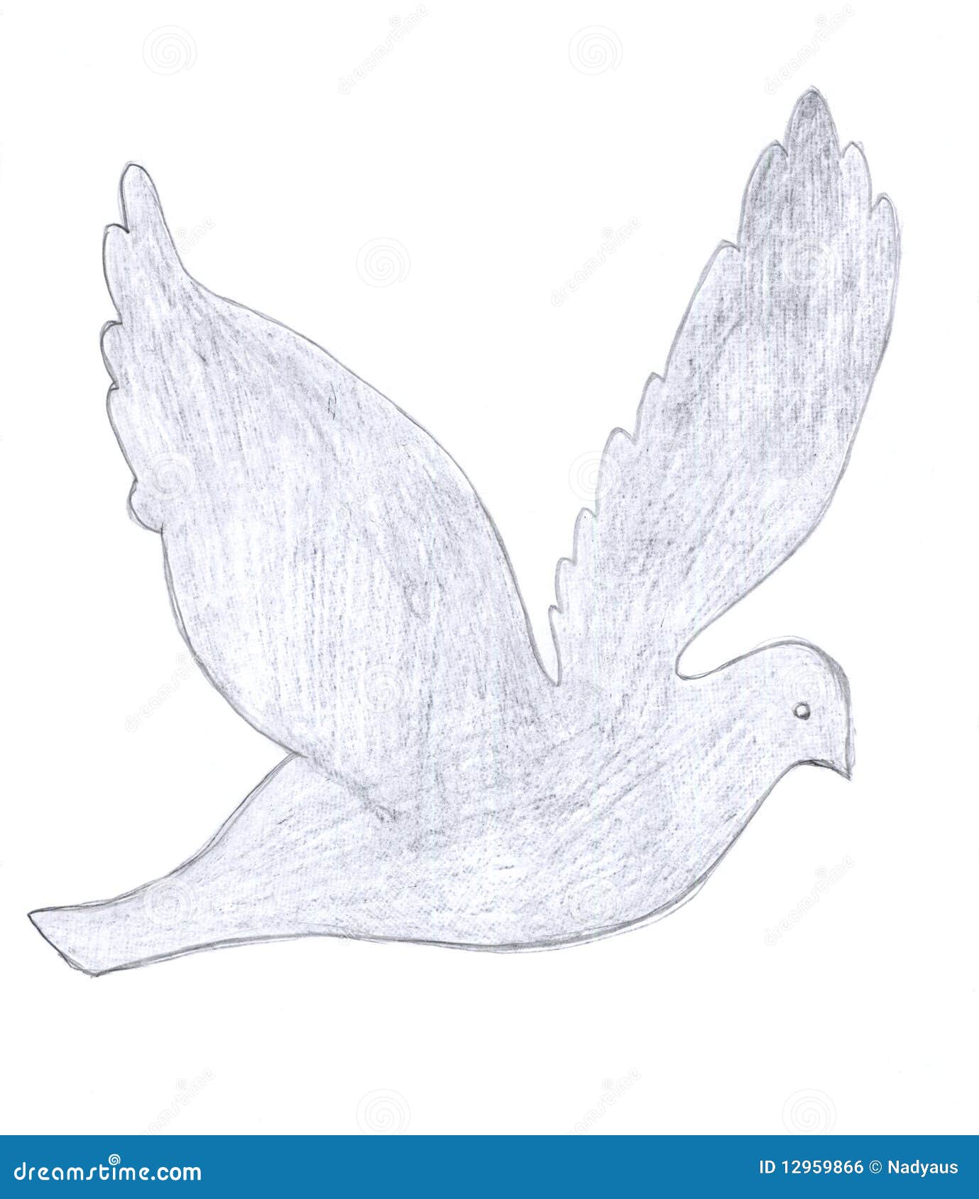 Duif Potlood Tekening Duif Tekenen / Gneqc1ipf.png / LetsDrawIt