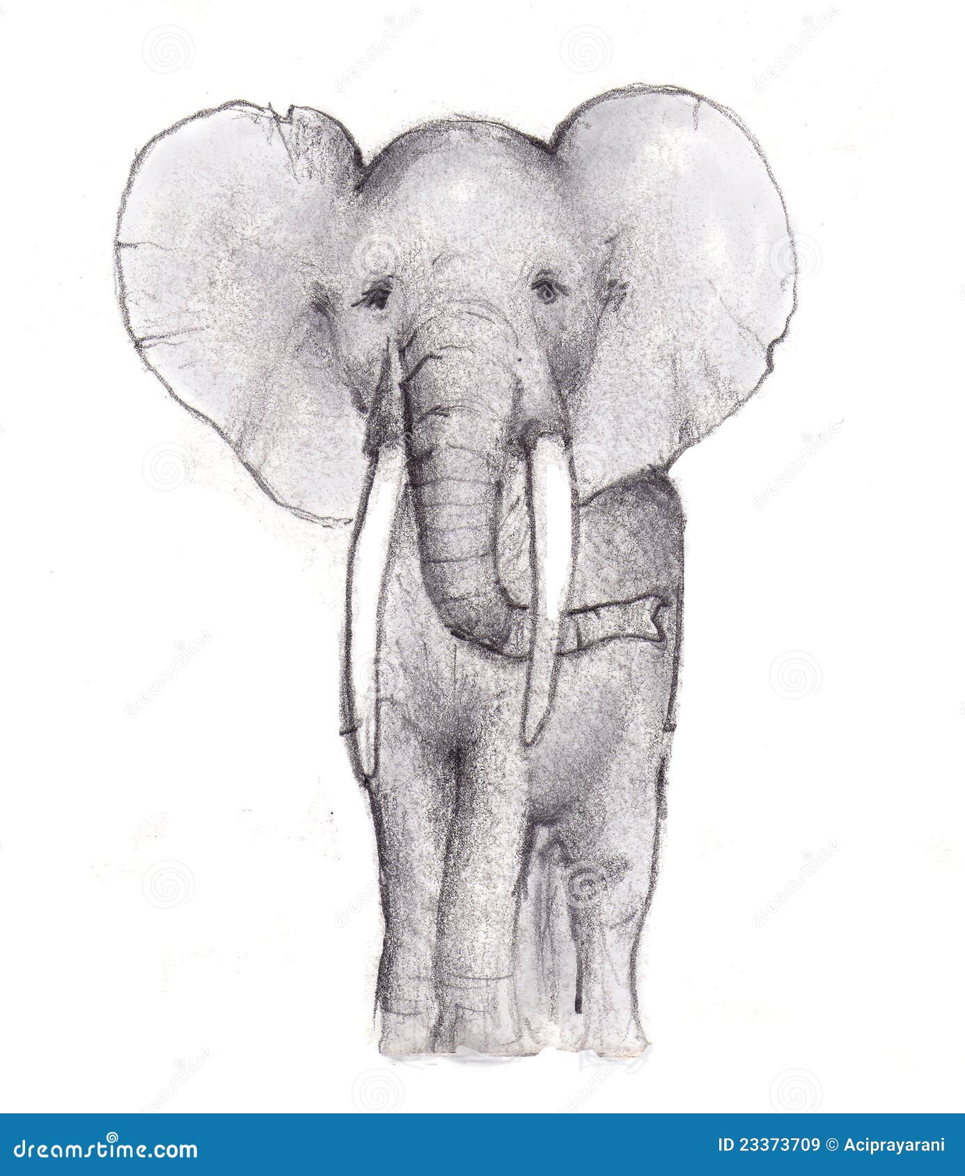 De Schets Van Het Potlood Van De Olifant Stock Illustratie ...