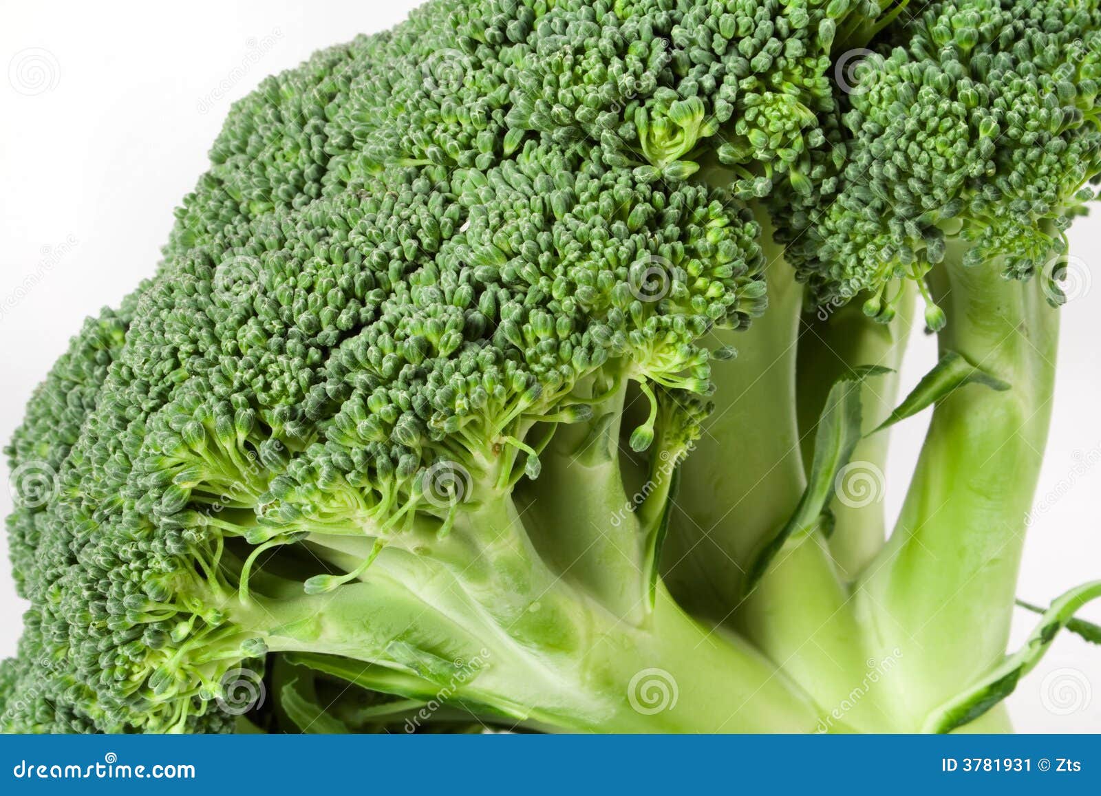 De schoof van broccoli stock afbeelding. Image of plantaardig - 3781931