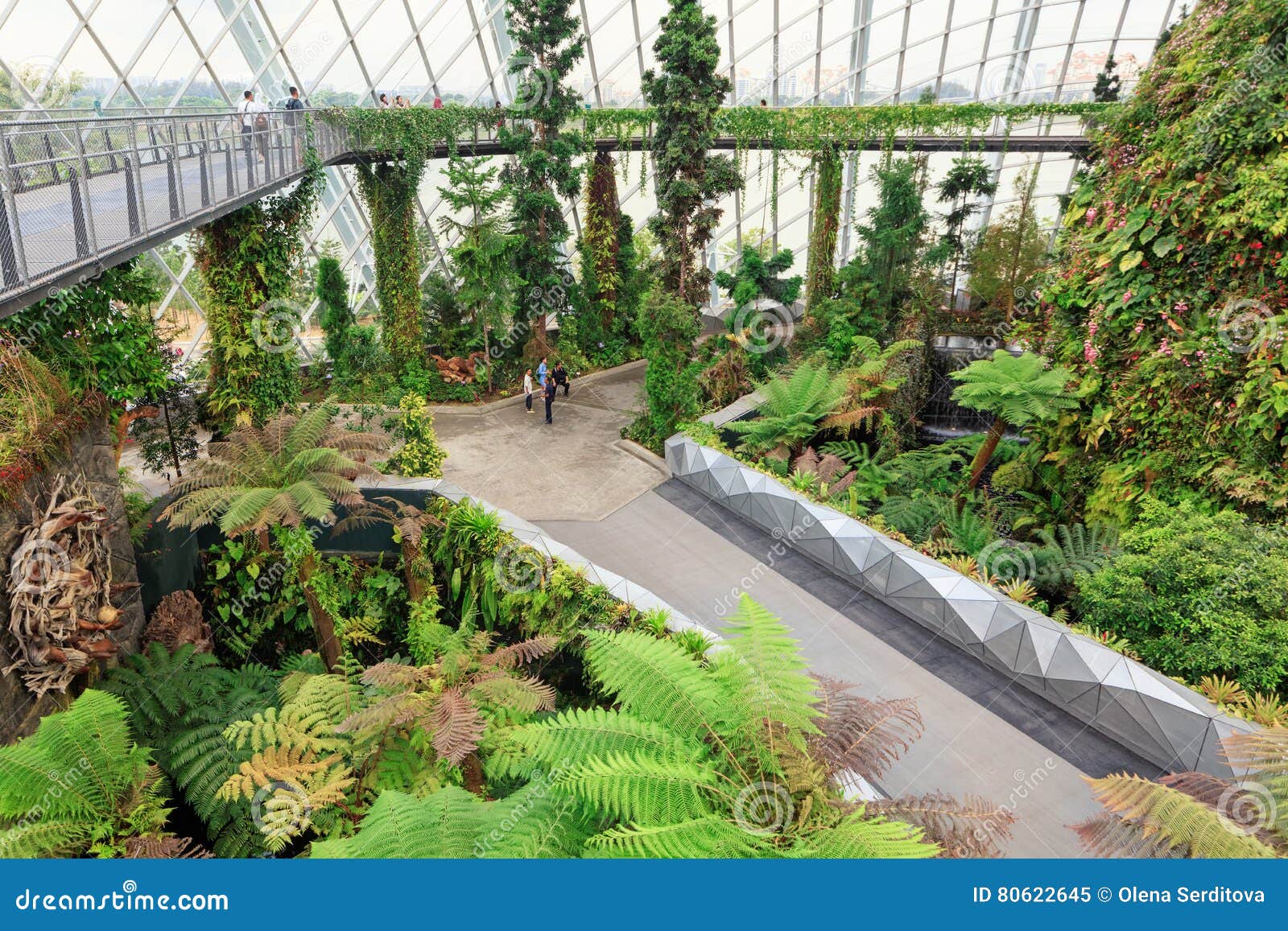 De Serre Van De Wolkentuin in Singapore Redactionele Afbeelding - Image ...