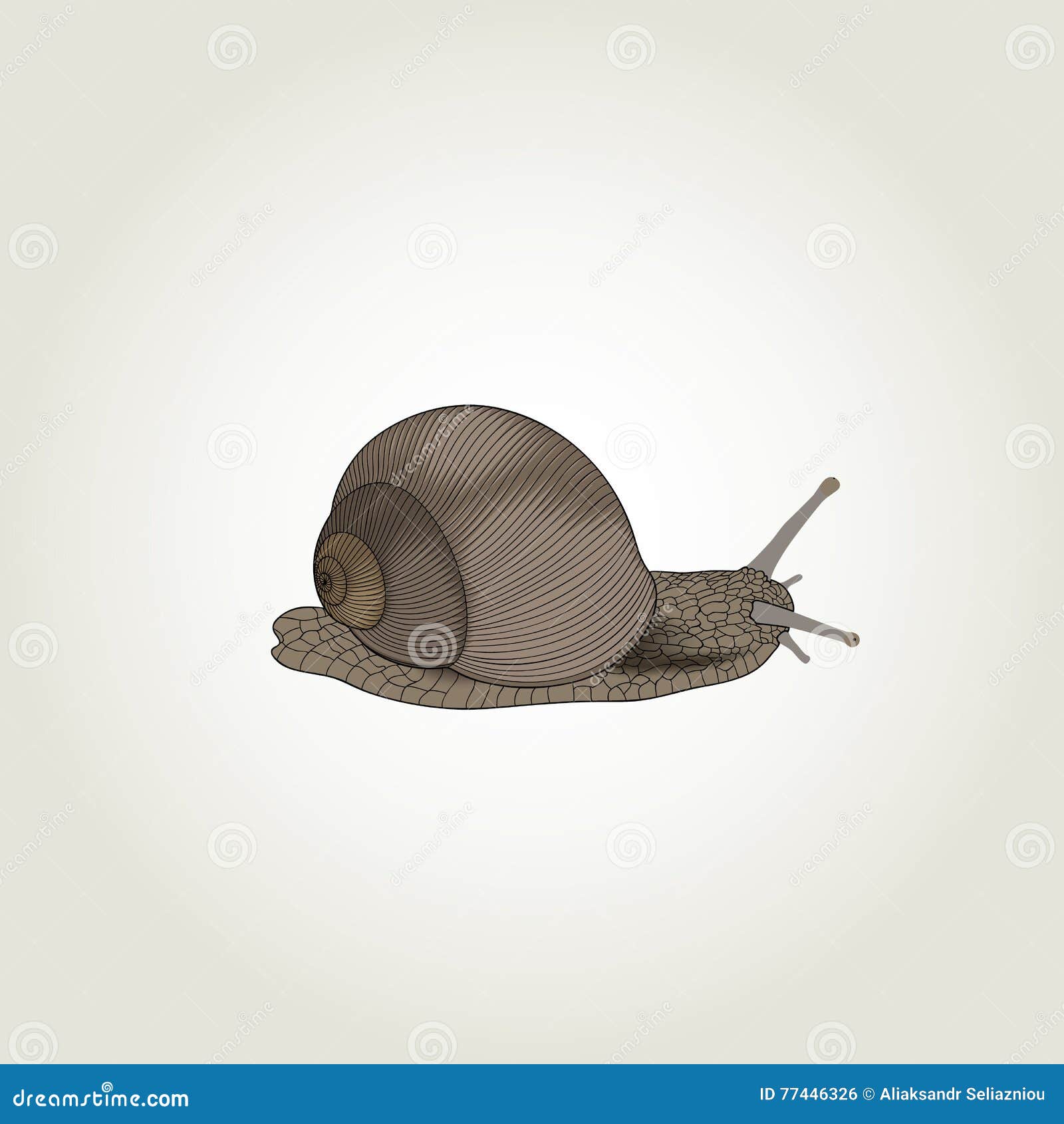 De Slak Van De Handtekening Vector Illustratie - Illustration of slak ...