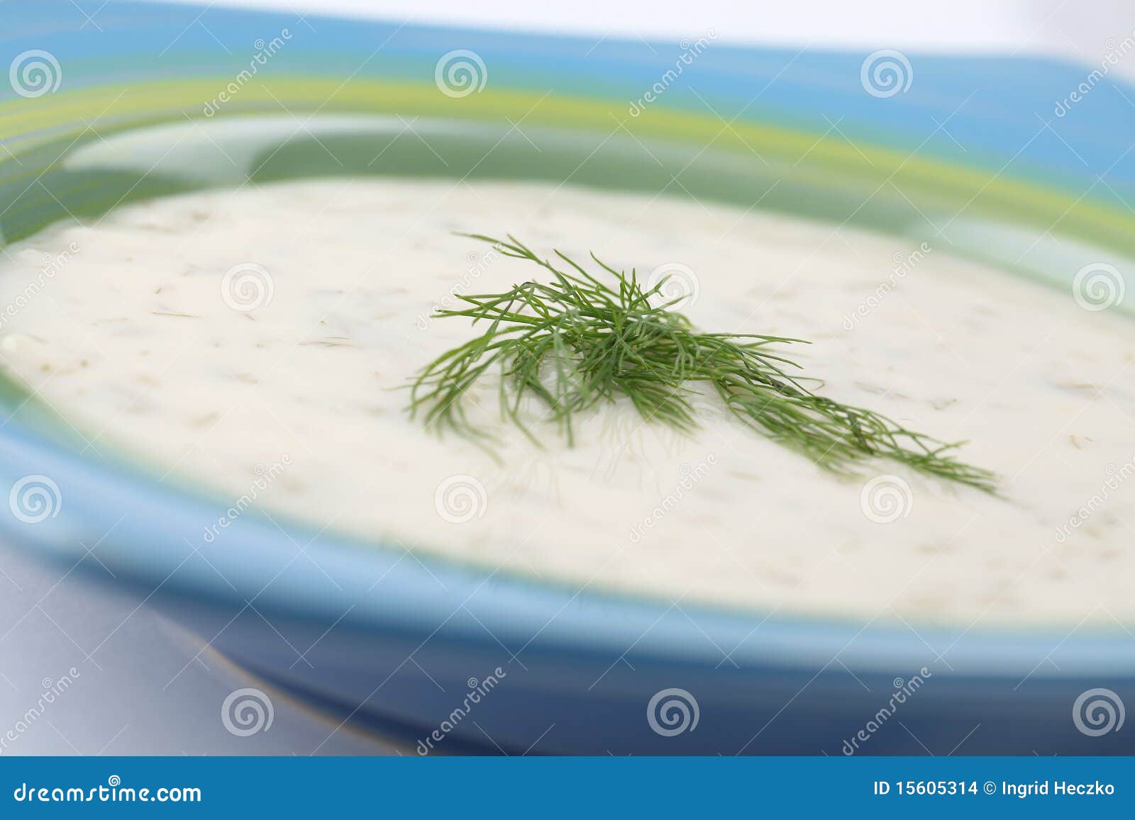 De soep van de dille stock foto. Image of vegetariër - 15605314