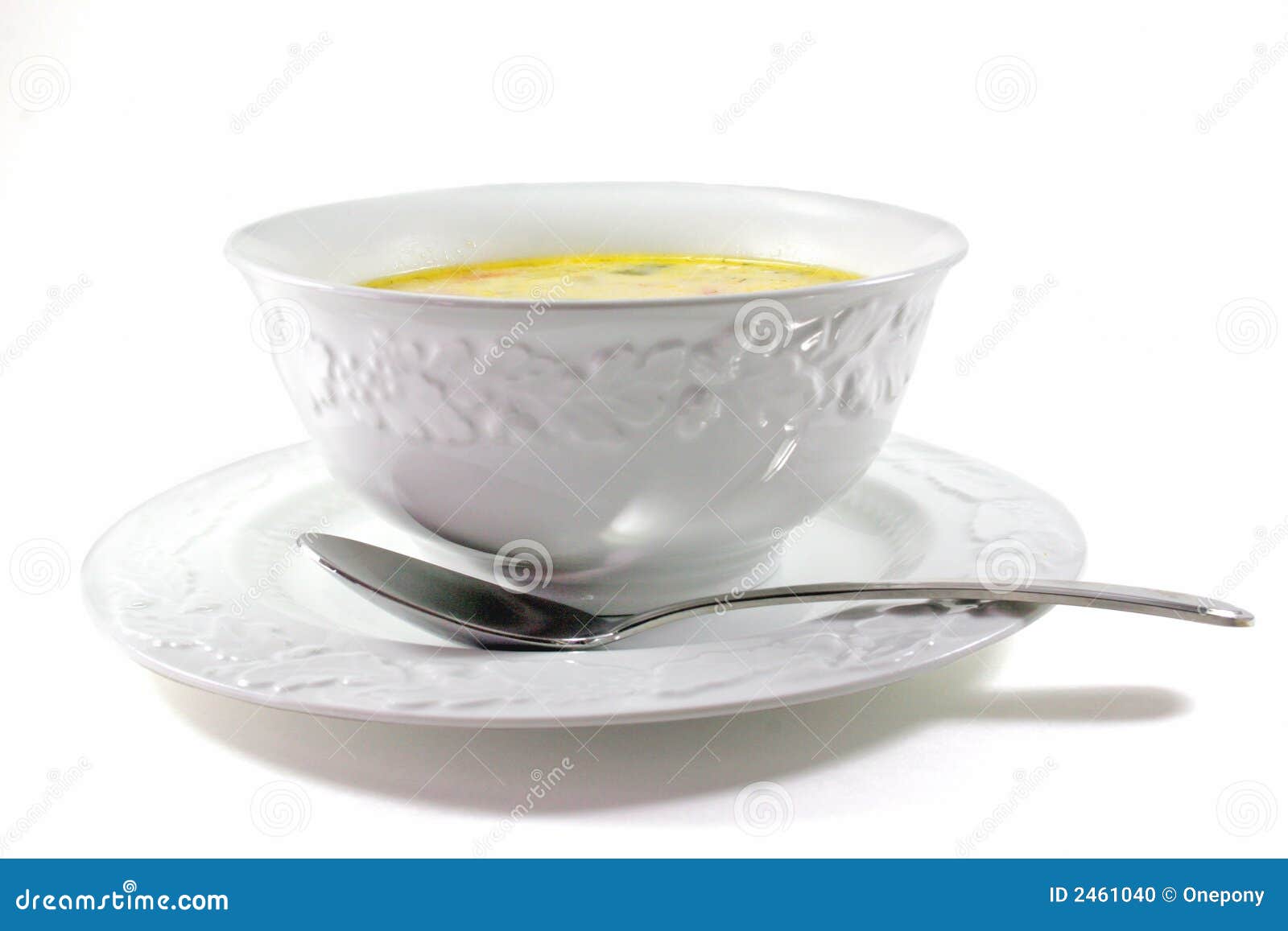 De Soep van de kip stock foto. Image of uien, menu, gezondheid - 2461040