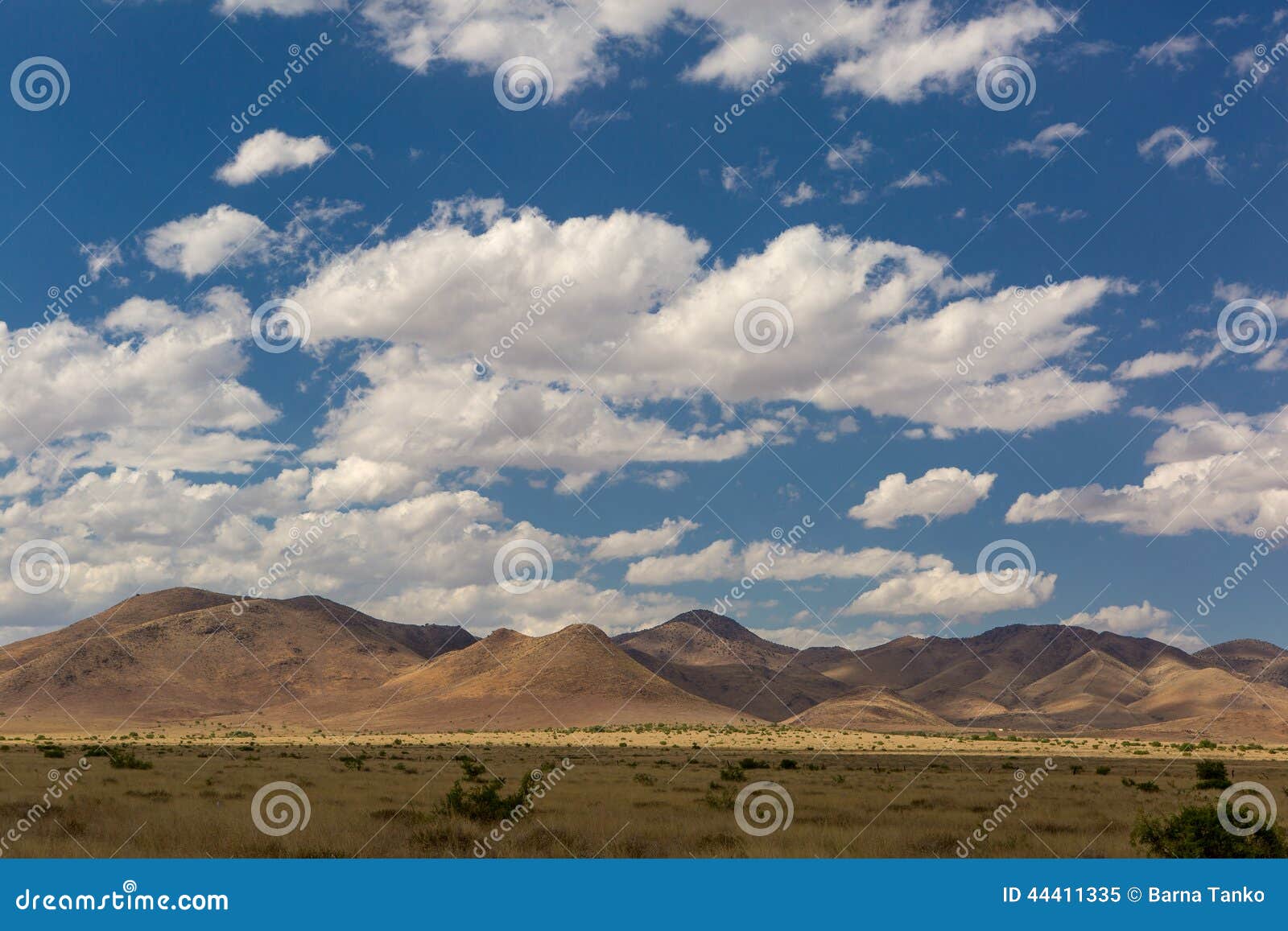 De Sonora-woestijn in Mexico Stock Afbeelding - Image of mexico, geluid ...