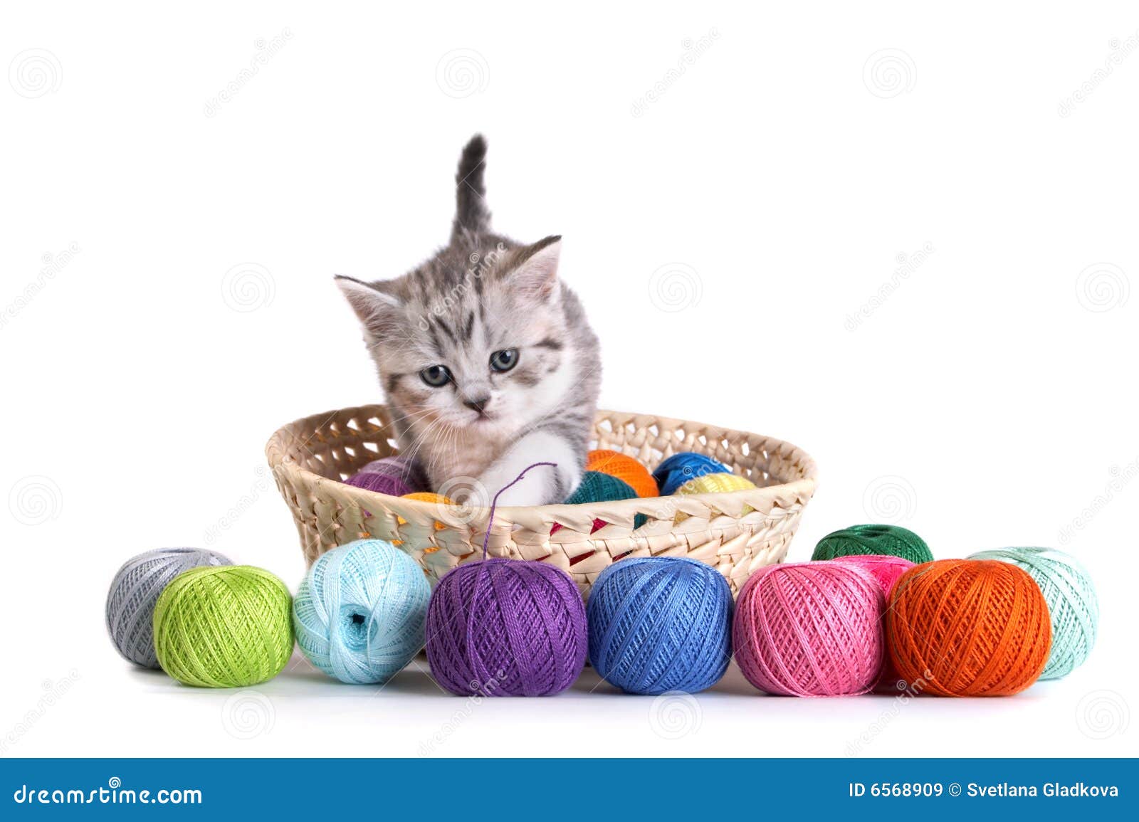 De Spelen Van Het Katje Op Een Witte Achtergrond Stock Afbeelding ...