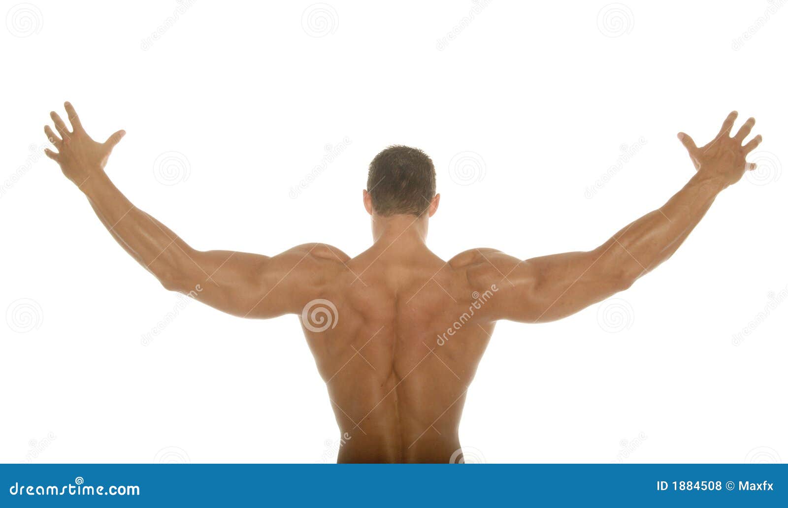 De Spier Atletische Rug Van De Lichaamsbouwer Stock Foto - Image of ...