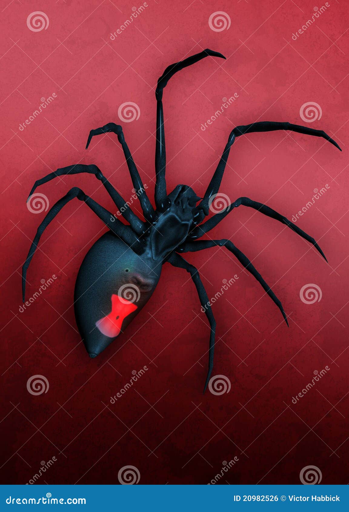 De Spin Van De Zwarte Weduwe Op Rode Achtergrond Stock Illustratie ...