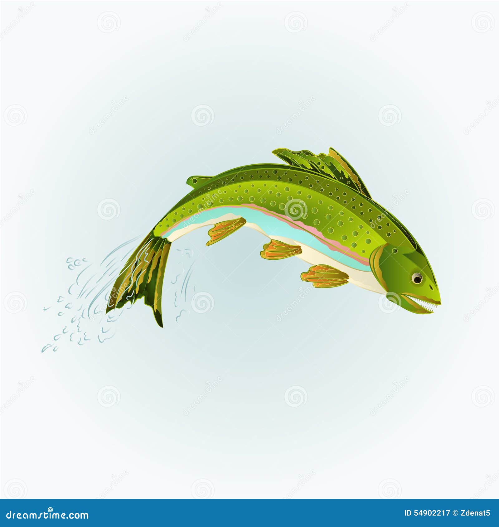 De Springende Vector Van De Regenboogforel Vector Illustratie ...