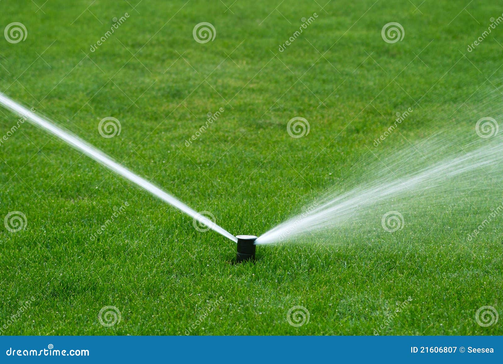 De Sproeier Bespuitend Water Van Het Gazon Stock Afbeelding - Image of ...