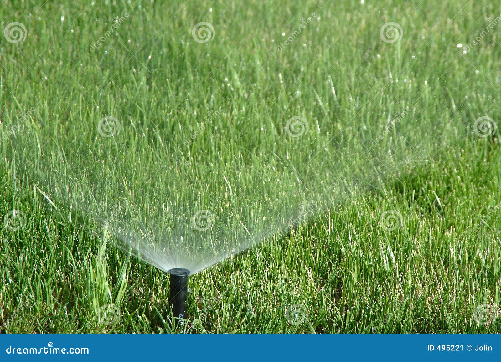 De Sproeier Die Van Het Water Gras Overgiet Stock Afbeelding - Image of ...