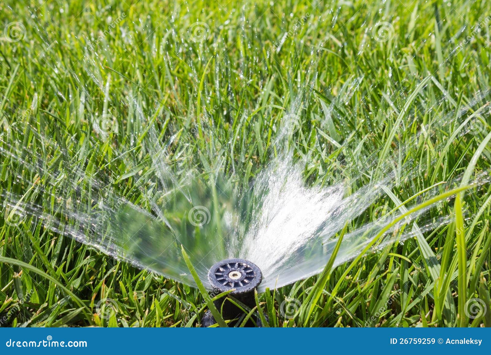 De sproeier van de tuin stock afbeelding. Image of druk - 26759259