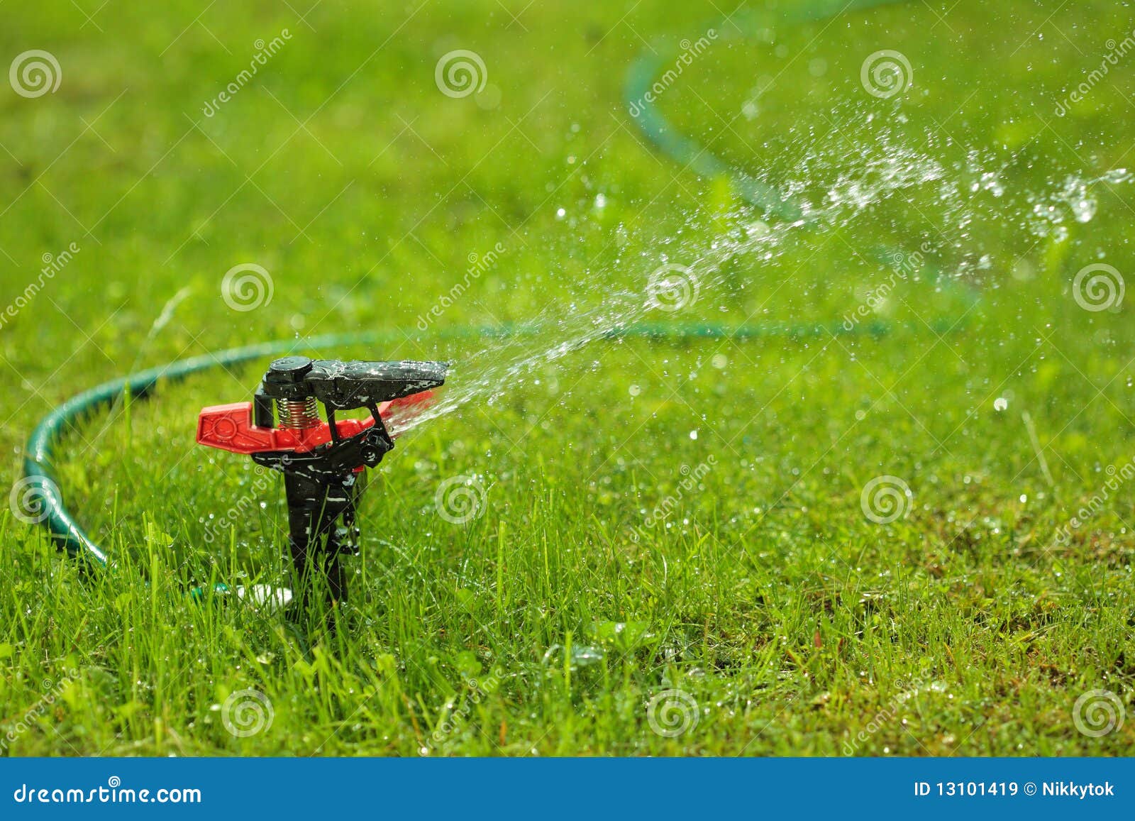 De sproeier van het gazon stock afbeelding. Image of landschap - 13101419
